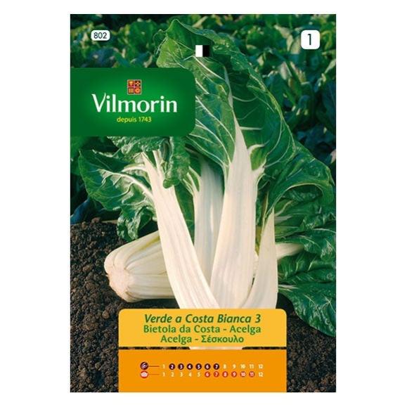 Semilla de acelga Verde Penca Blanca | Leroy Merlin