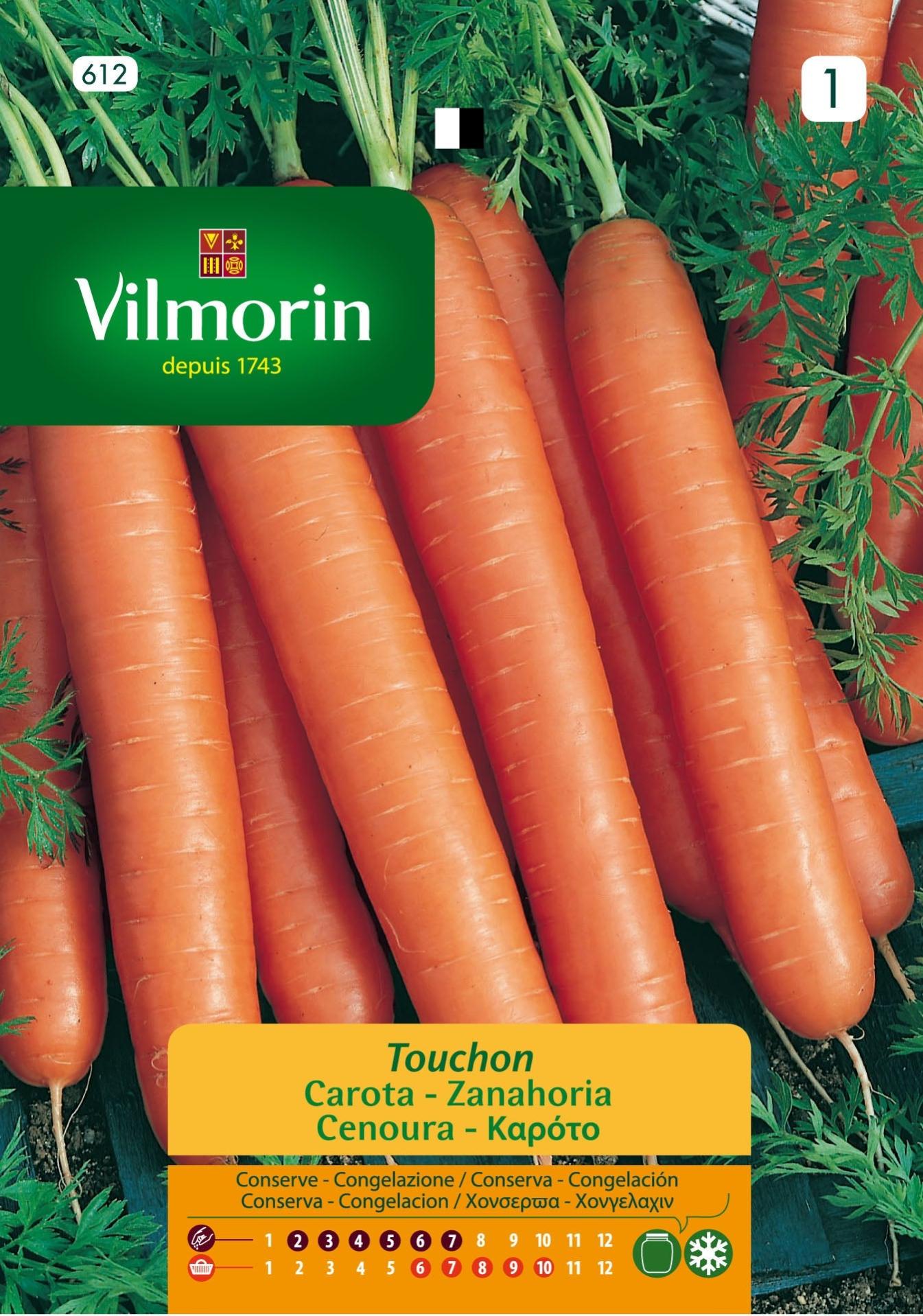 Semilla de zanahoria Touchón | Leroy Merlin