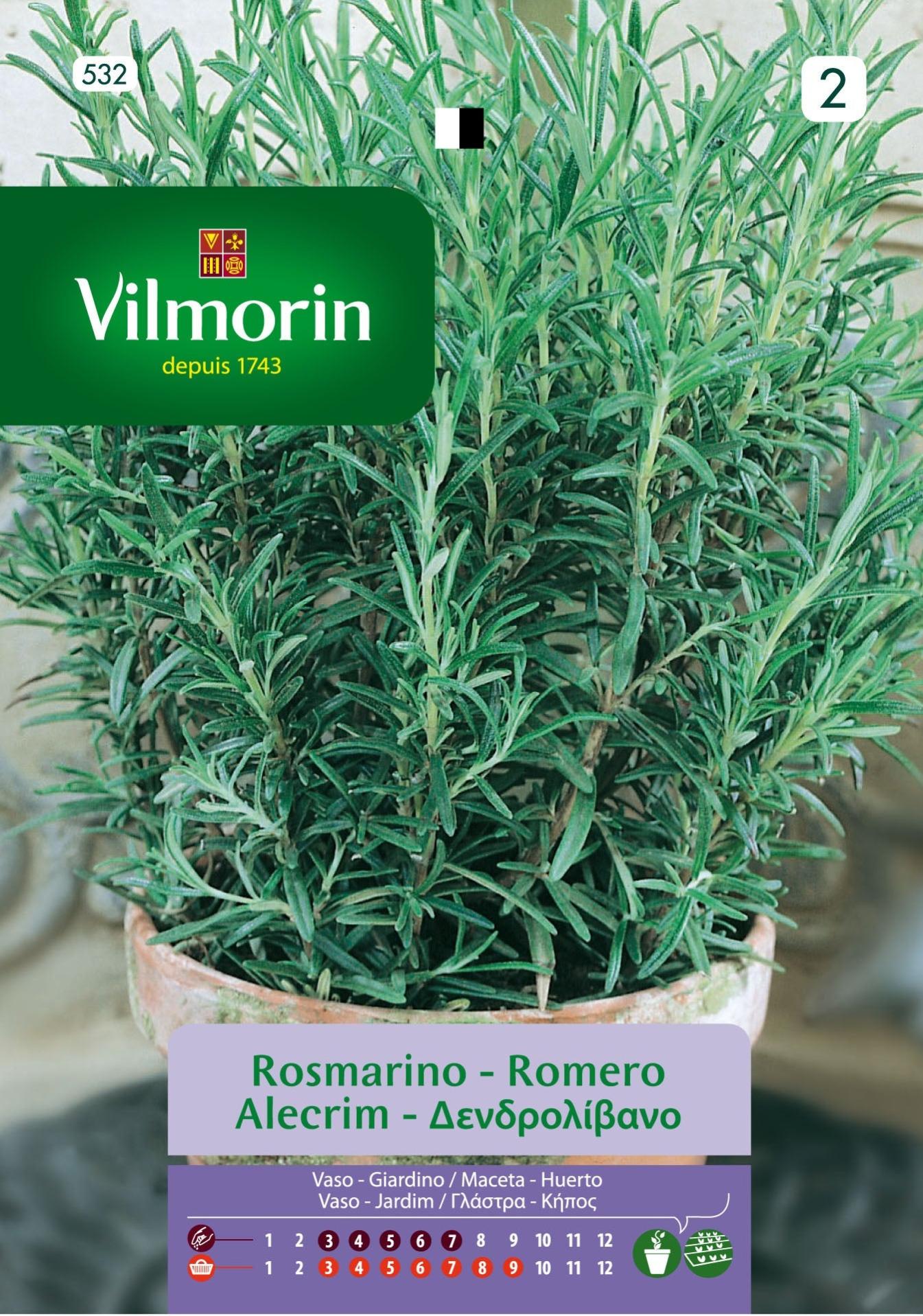 Semilla de romero | Leroy Merlin