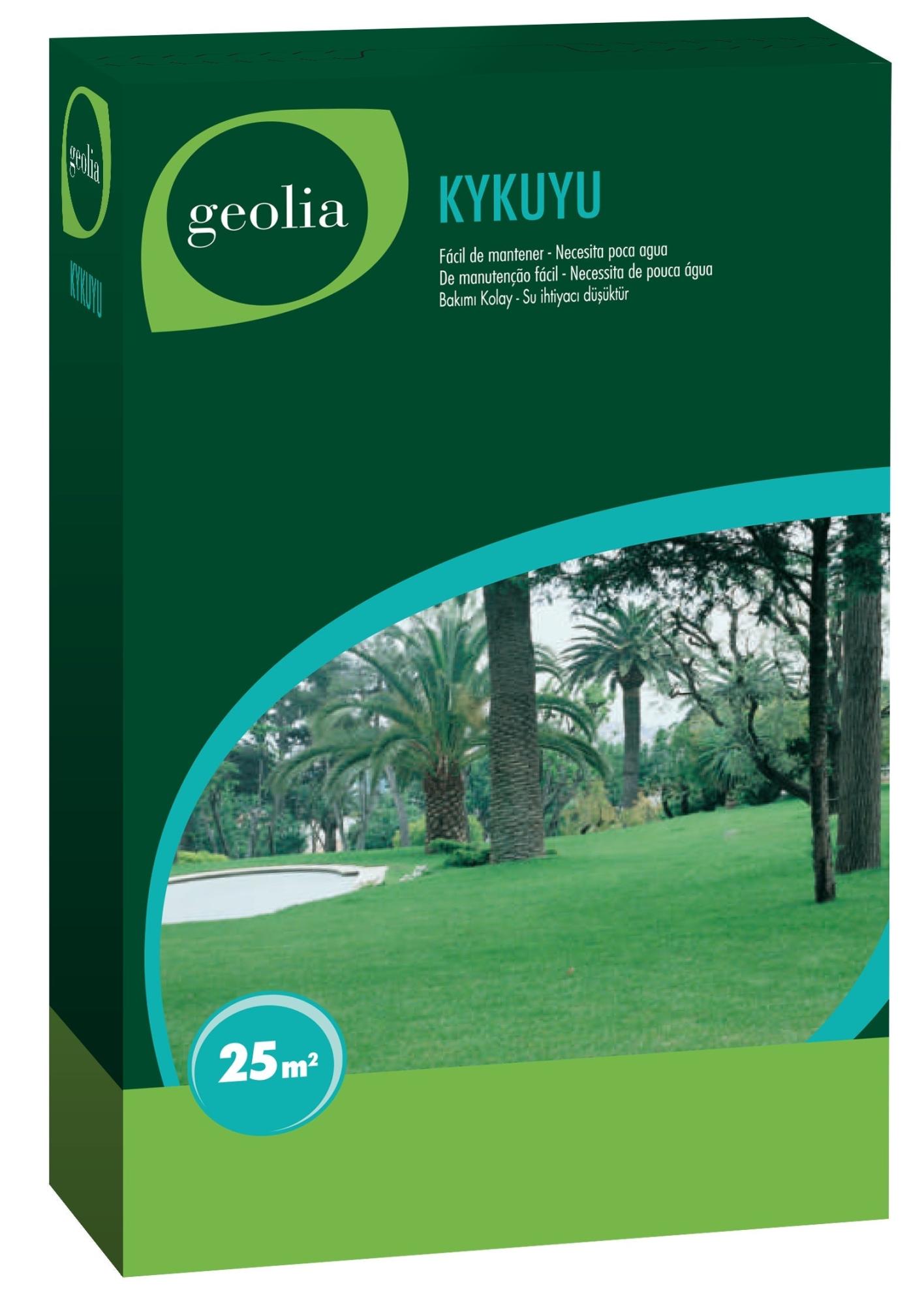 Césped Kikuyu GEOLIA 250 gr para terrenos de hasta 25 m² | Leroy Merlin