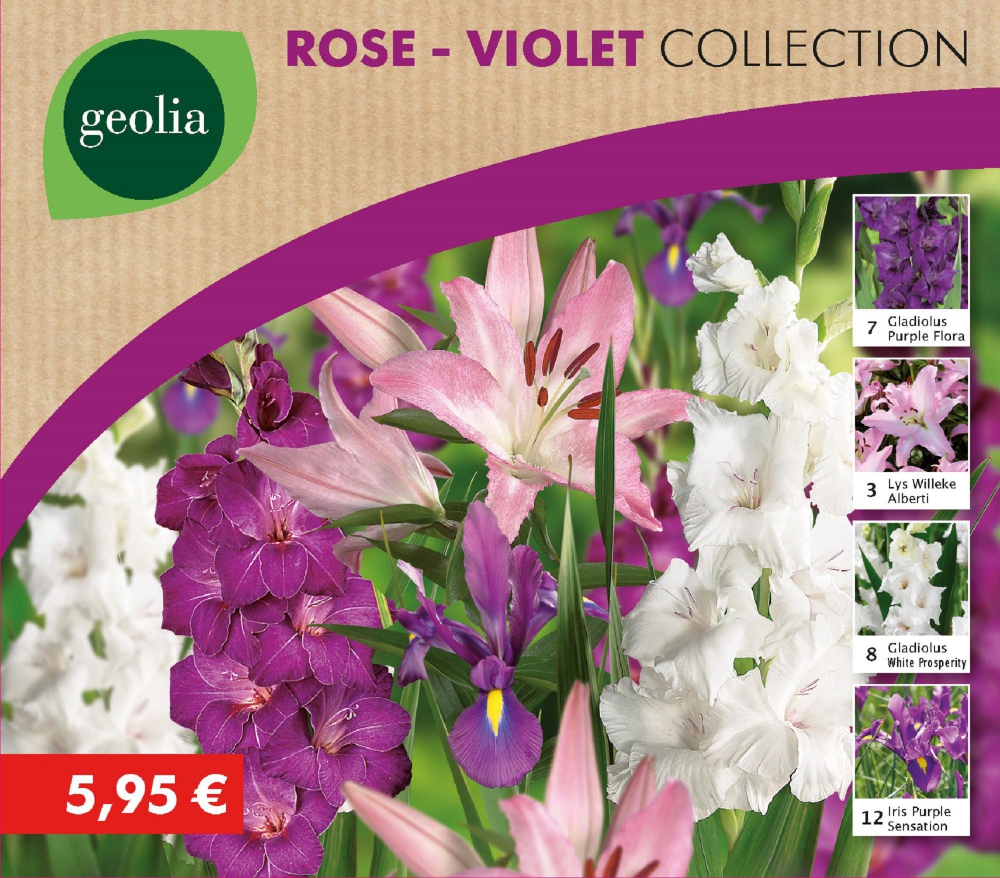 Colección de bulbos GEOLIA Colección Jardín Pastel | Leroy Merlin