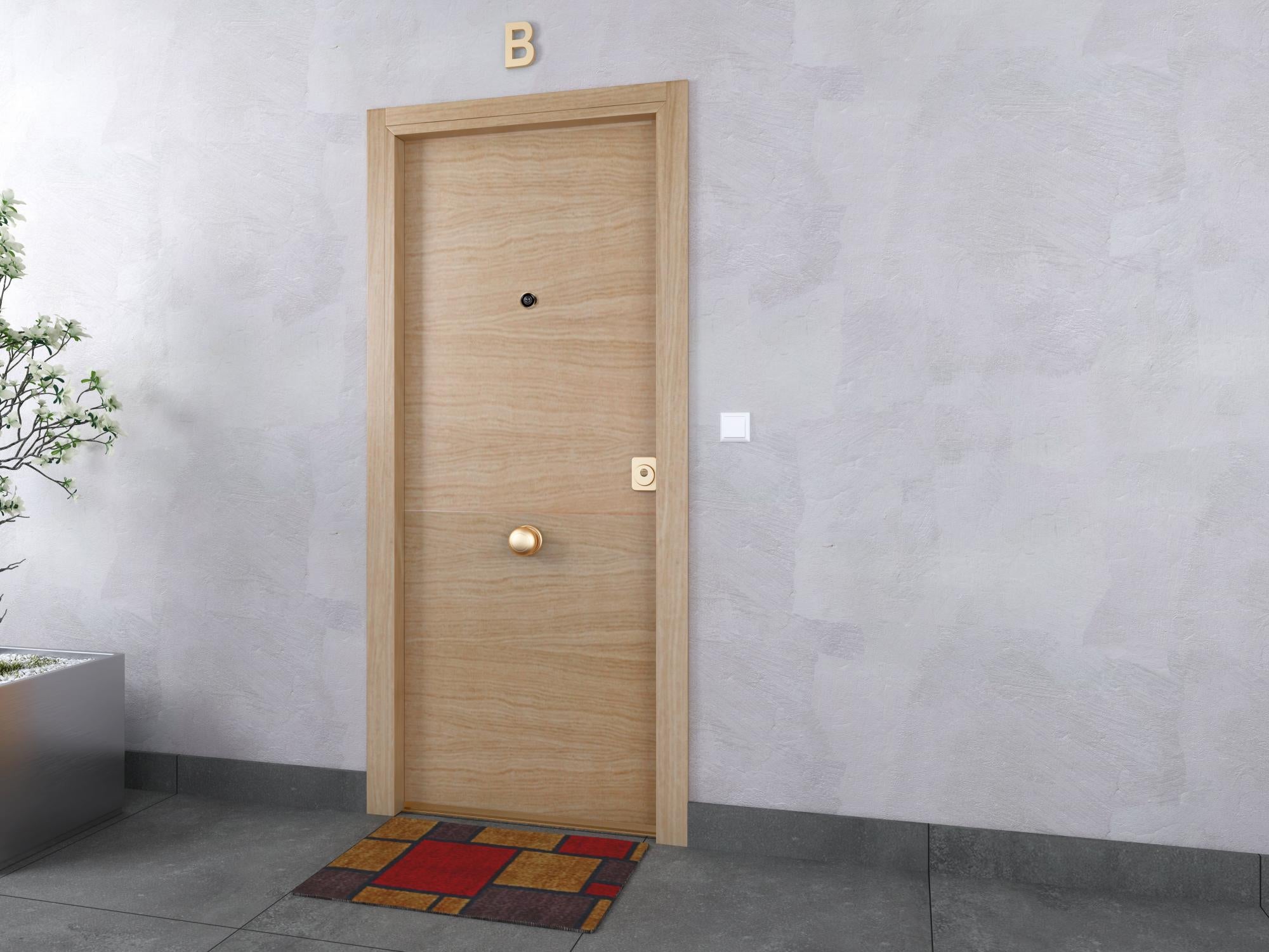 Puerta de entrada acorazada 300 lisa izquiera roble/roble de 90.3x208 ...