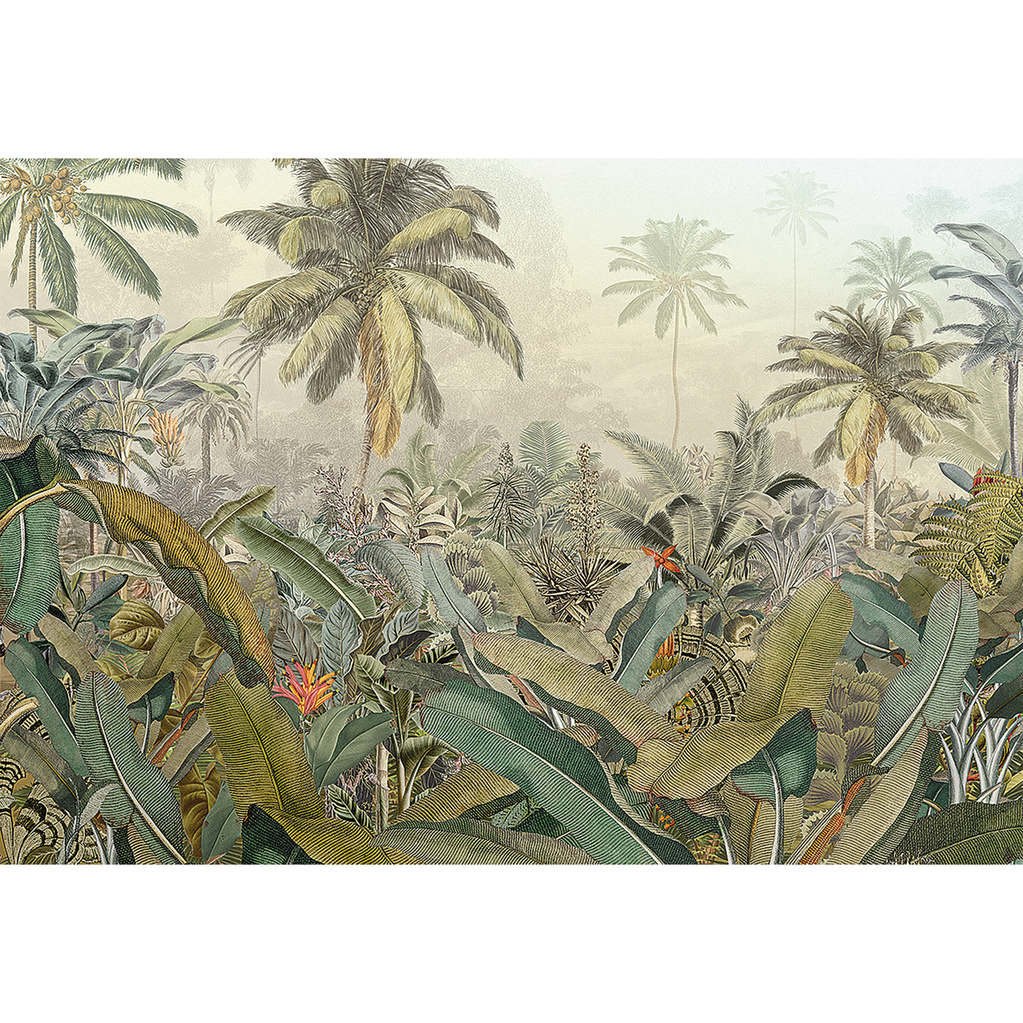 Mural Amazonia de 368 x 248 cm | Leroy Merlin