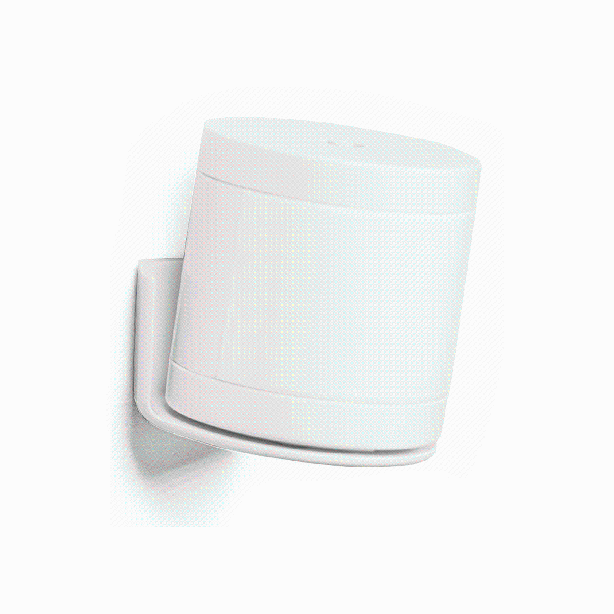 Detector de movimiento para alarma SOMFY | Leroy Merlin