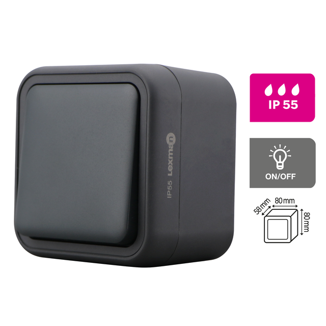 Lexman Trail IP55 | Leroy Merlin