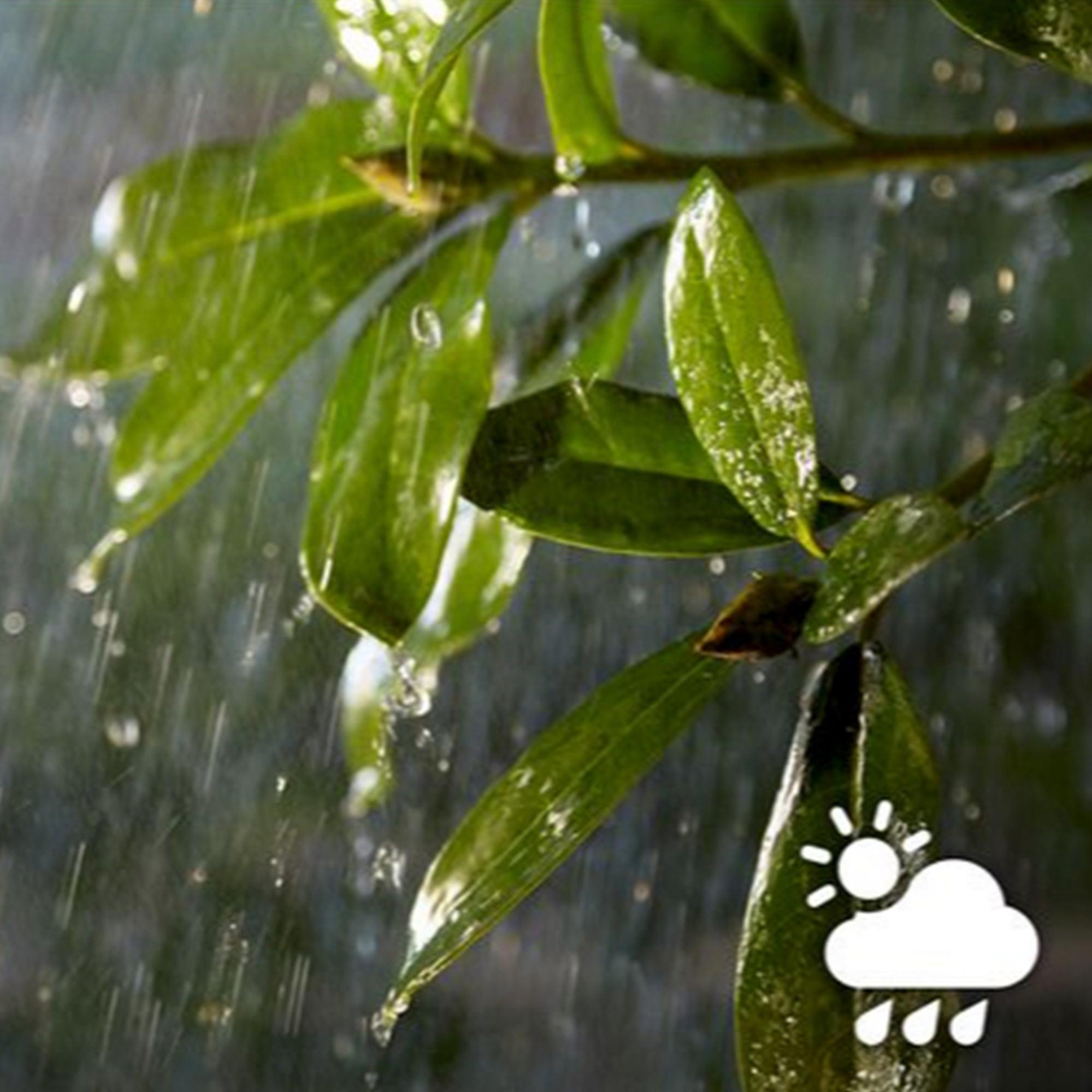 Tira LED exterior de 19w 2 metros HUE RGB | Leroy Merlin