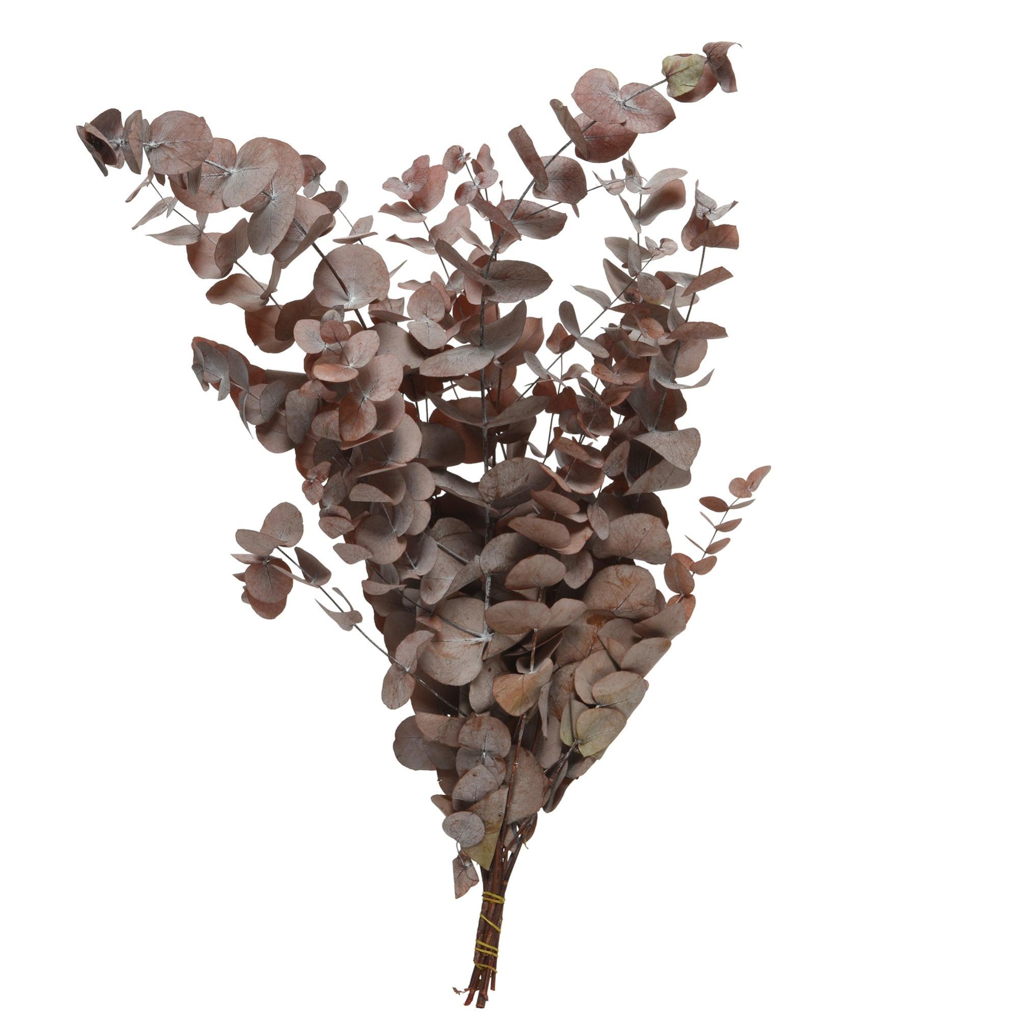 Vara artificial Eucaliptus rojo de 66 cm | Leroy Merlin