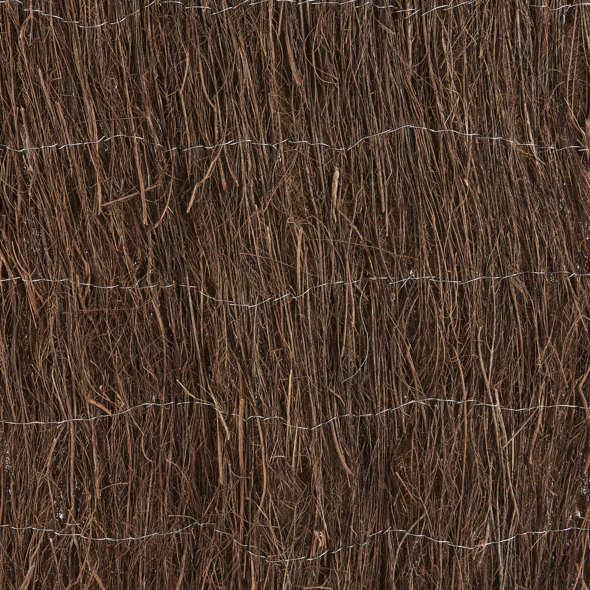 Brezo con coco CATRAL marrón 1 x 3 m | Leroy Merlin