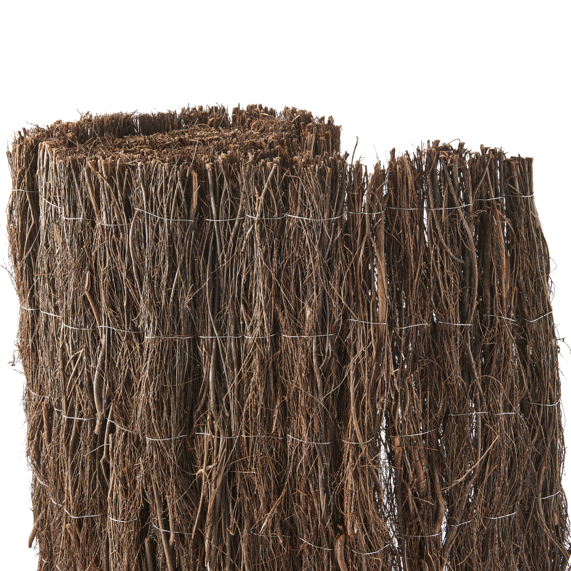 Brezo con coco CATRAL marrón 1 x 3 m | Leroy Merlin