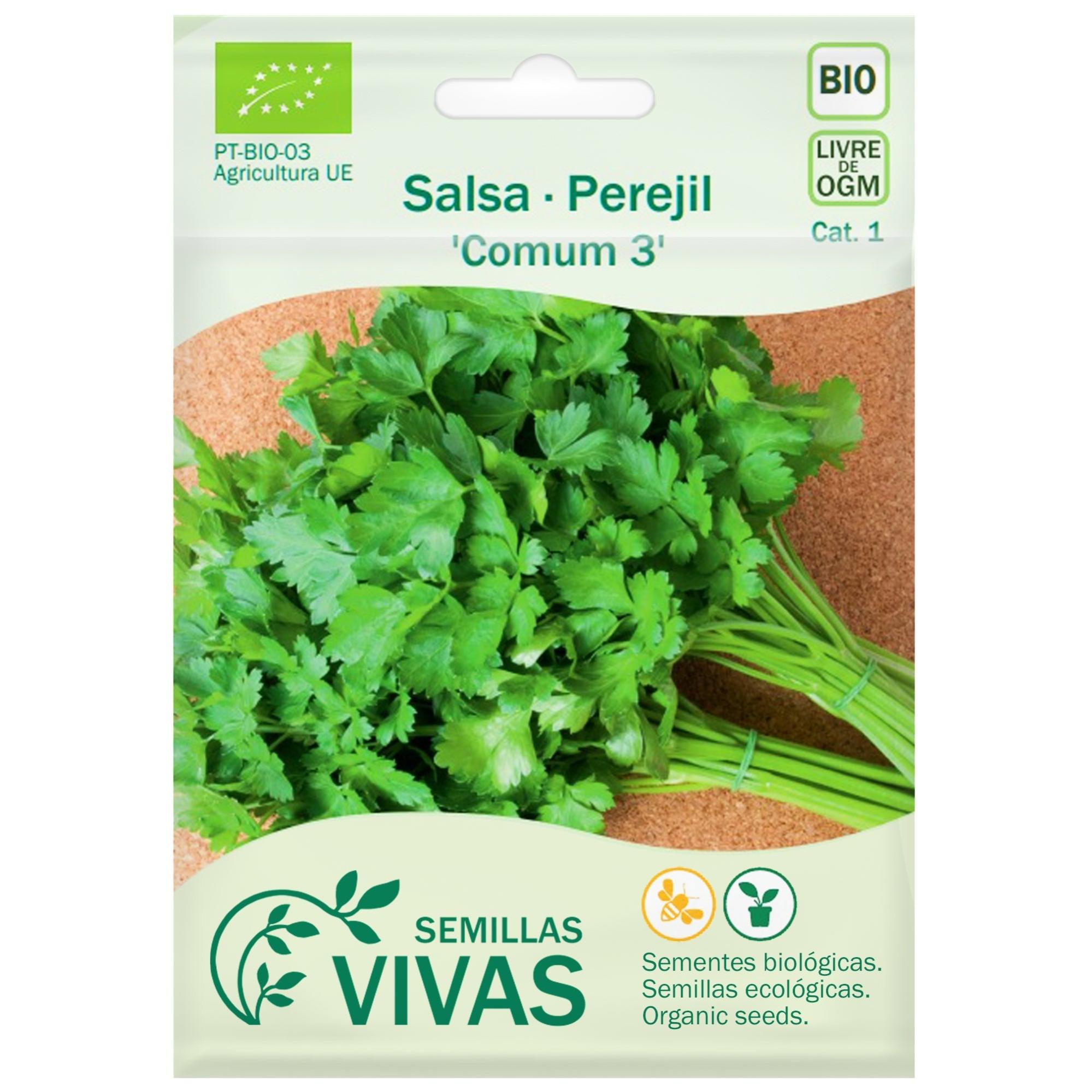 Semilla de perejil comun 3 | Leroy Merlin