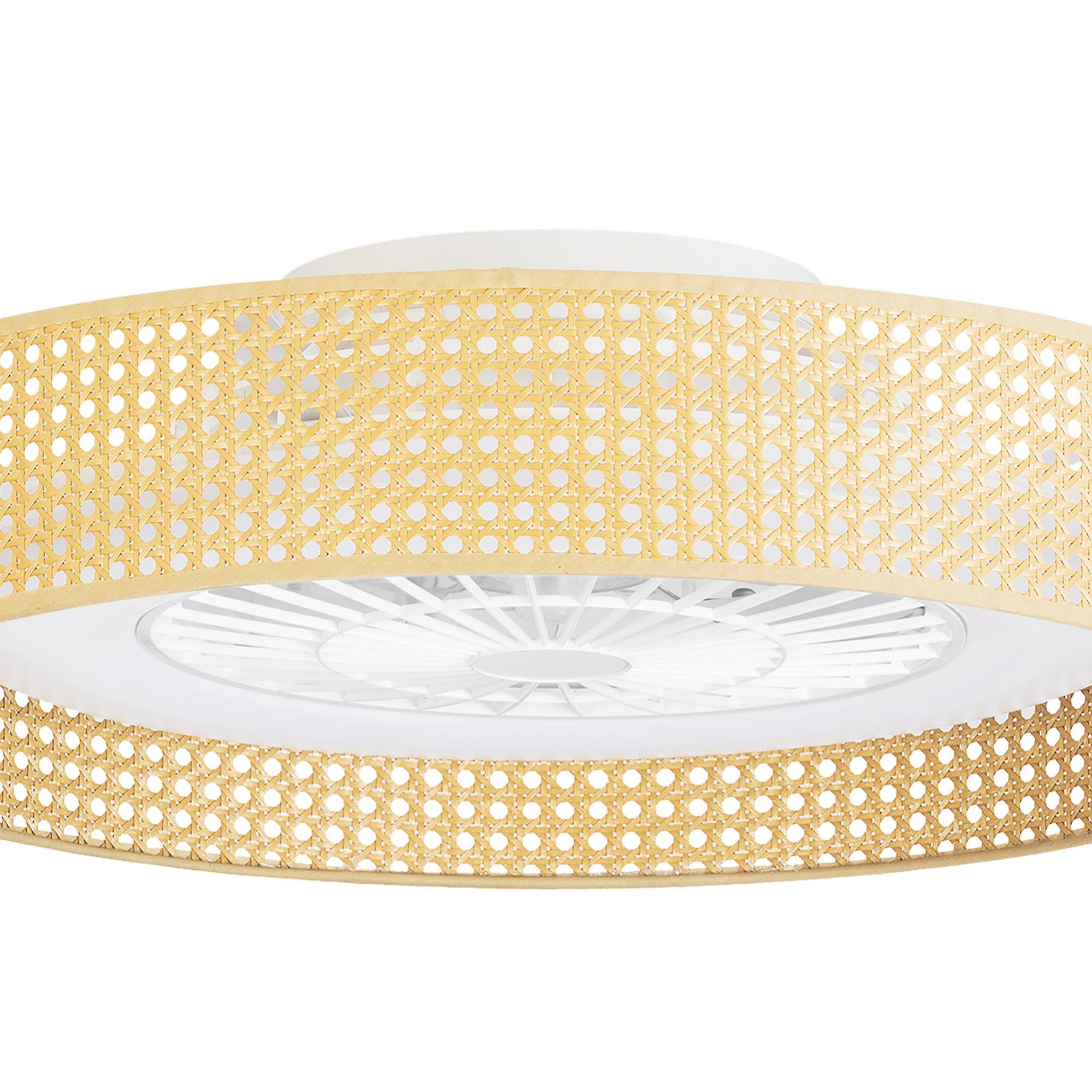 Ventilador de techo con luz motor DC Bea blanco 60 cm | Leroy Merlin