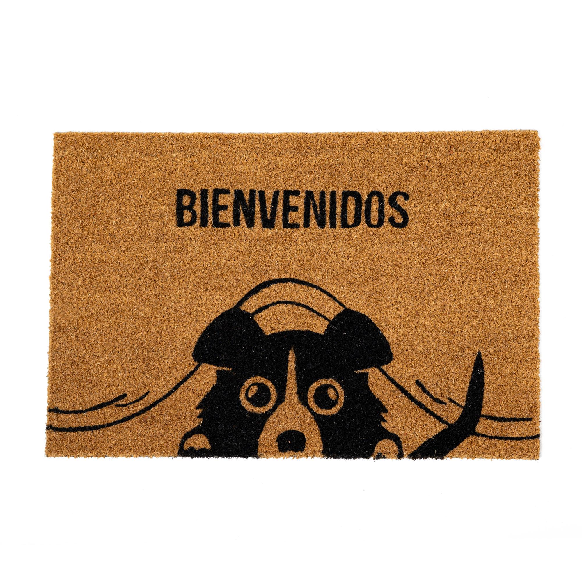 Felpudo beige de coco, pvc Bienvenido 40 x60 cm | Leroy Merlin