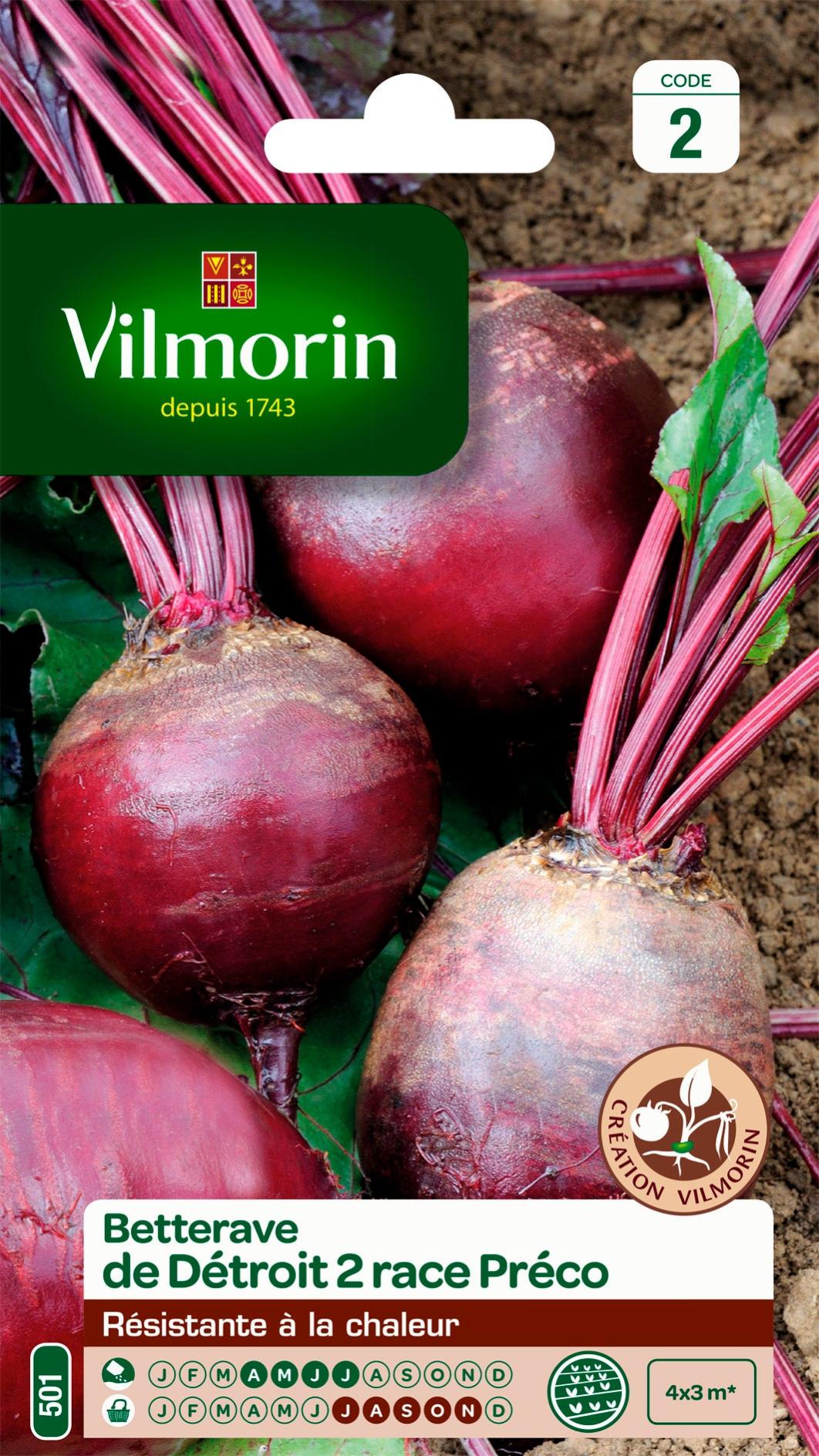 Betterave rouge detroit VILMORIN 5 g | Leroy Merlin