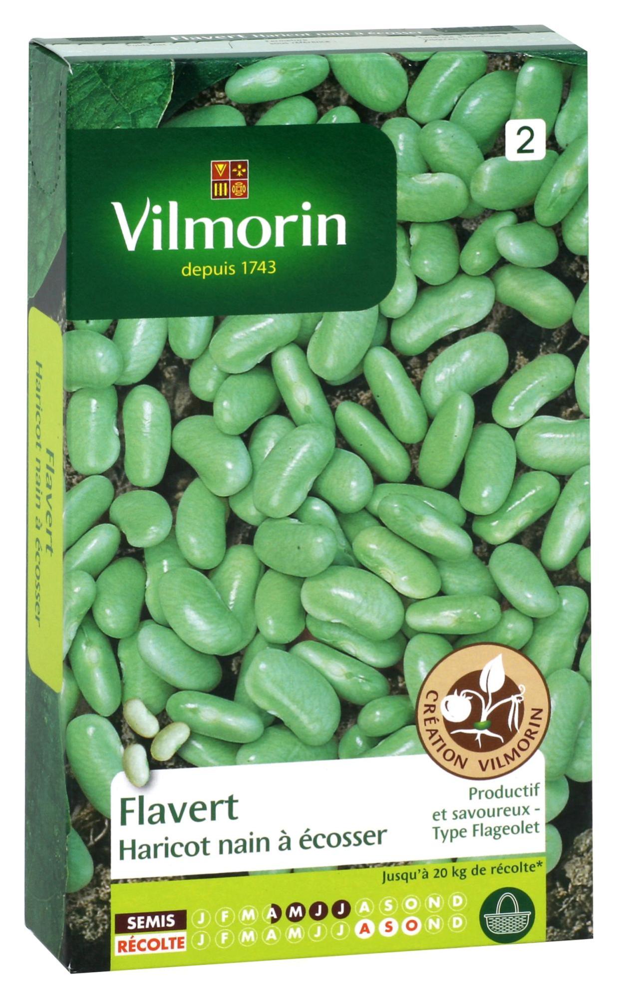 Haricot flageolet flavert VILMORIN 200 g | Leroy Merlin