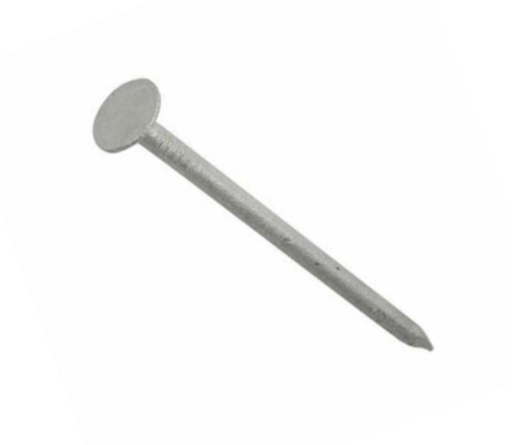 Clou en acier galvanisé, STANDERS tête plate large, Ø3 x L.40 mm, vente ...