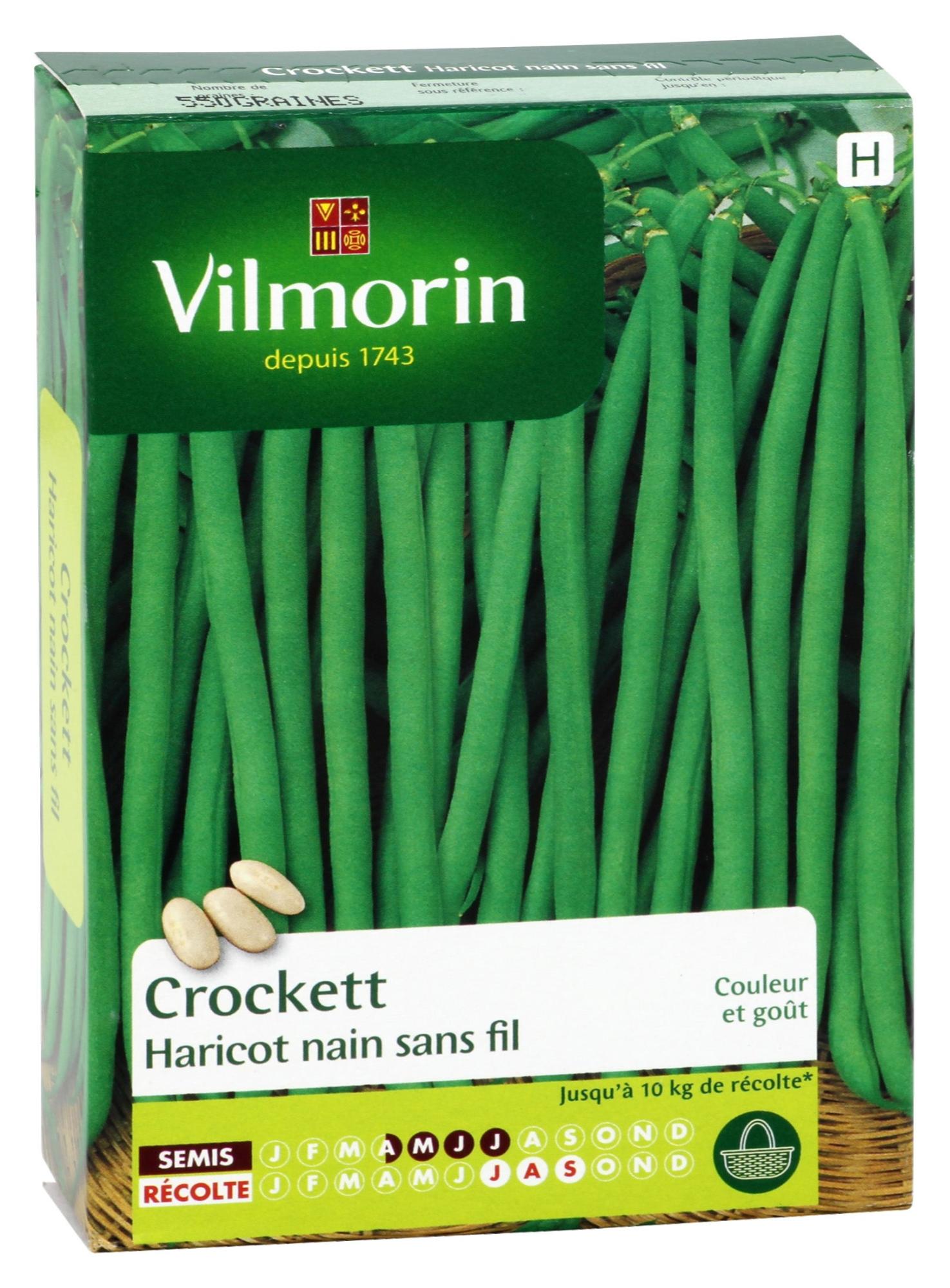 Haricot nain crokett VILMORIN 100 g | Leroy Merlin