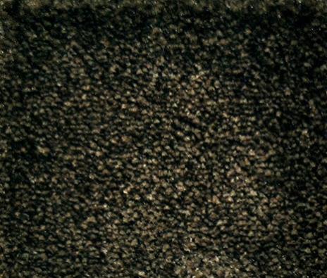 Moquette velours épais uni chocolat, Espresso, rouleau l.4 m | Leroy Merlin