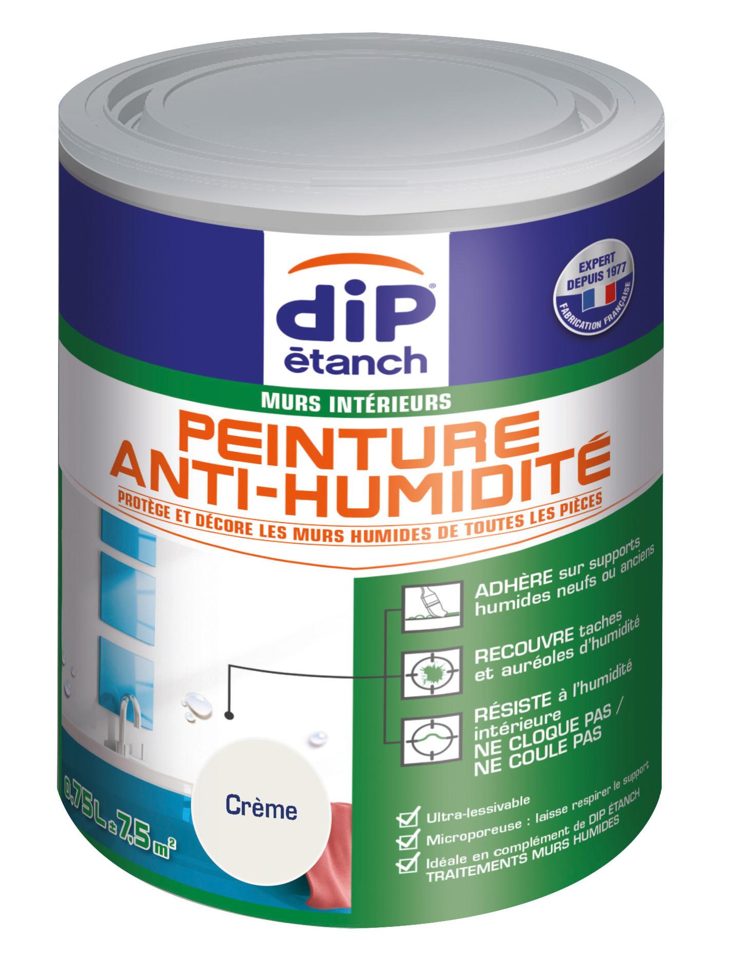 Peinture antihumidité, DIP crème 0.75 l | Leroy Merlin
