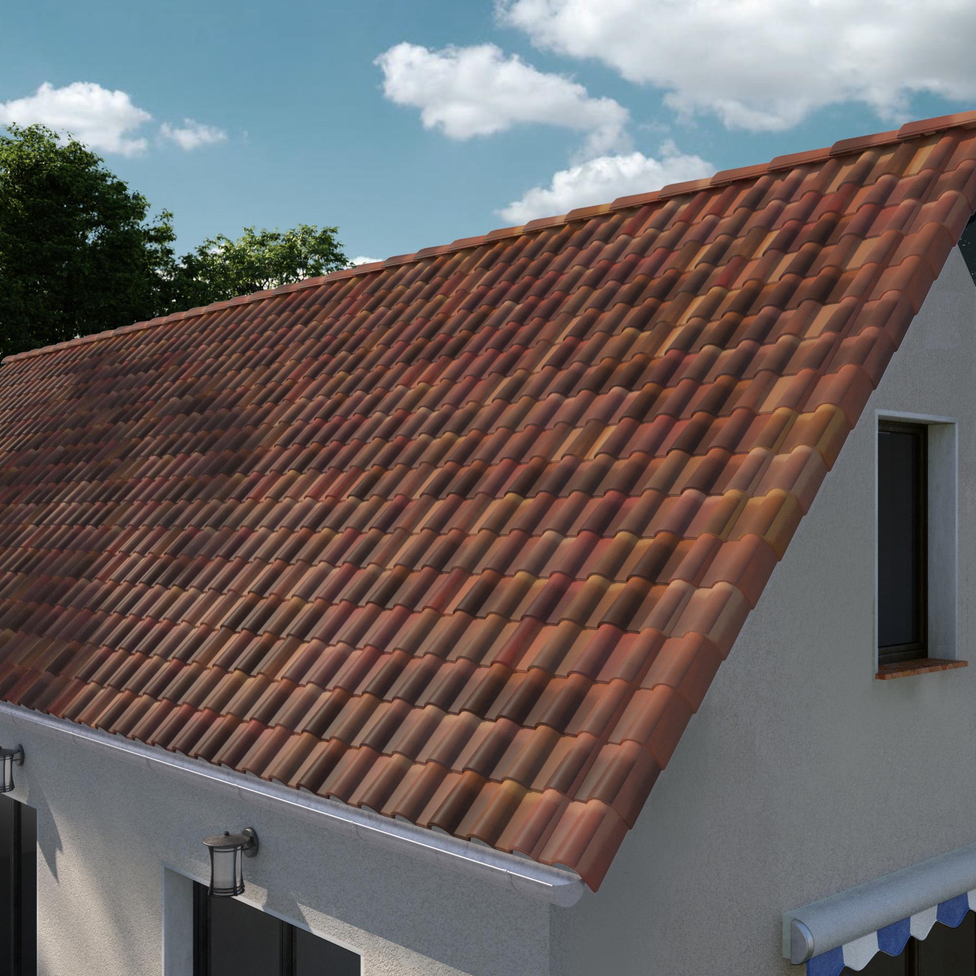 Tuile TERREAL pays d'oc 1rr | Leroy Merlin