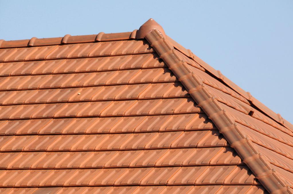 Tuile TERREAL vieilli bourgogne 1mg | Leroy Merlin