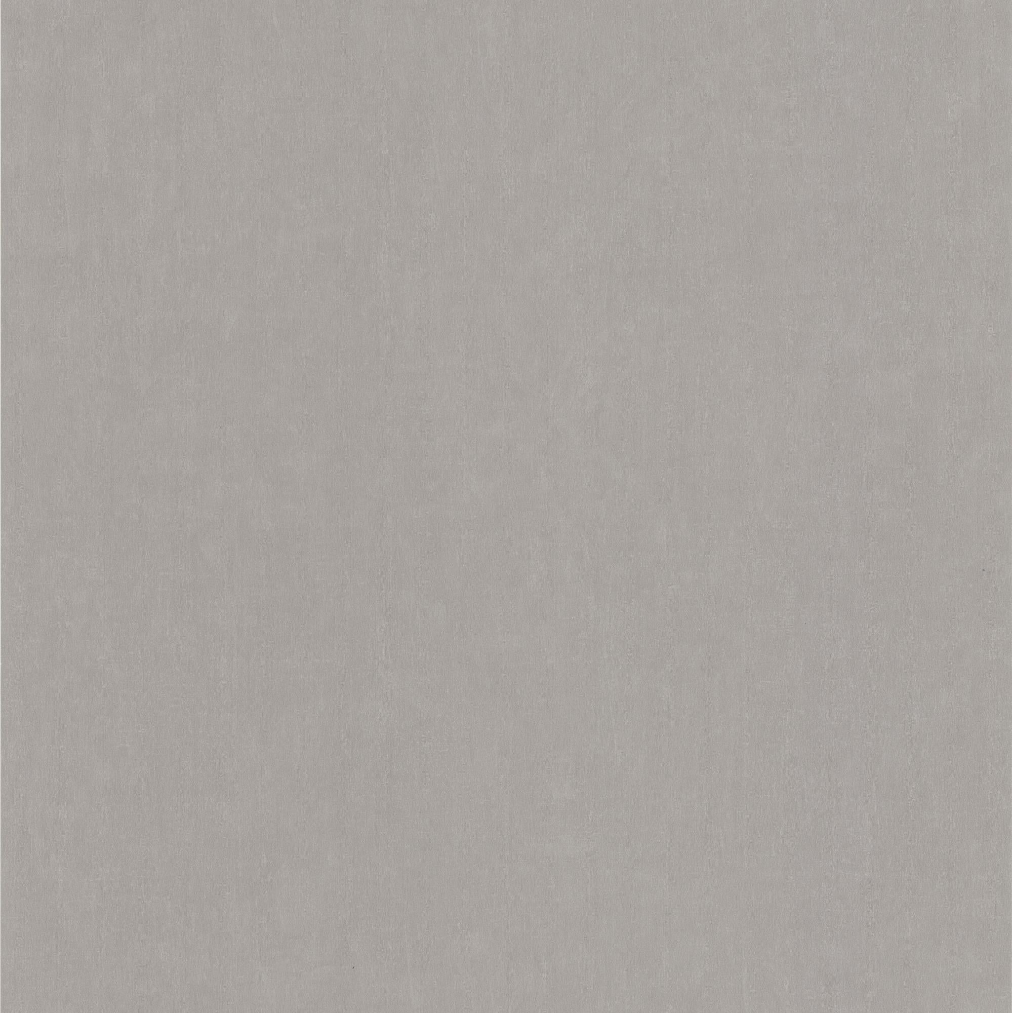Papier peint papier LES PETITS CURIEUX uni gris | Leroy Merlin