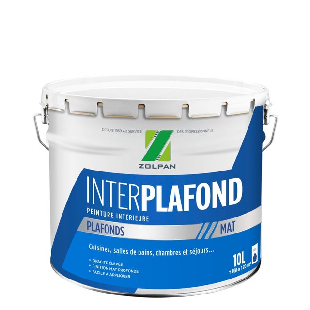Peinture blanche professionnelle | Leroy Merlin