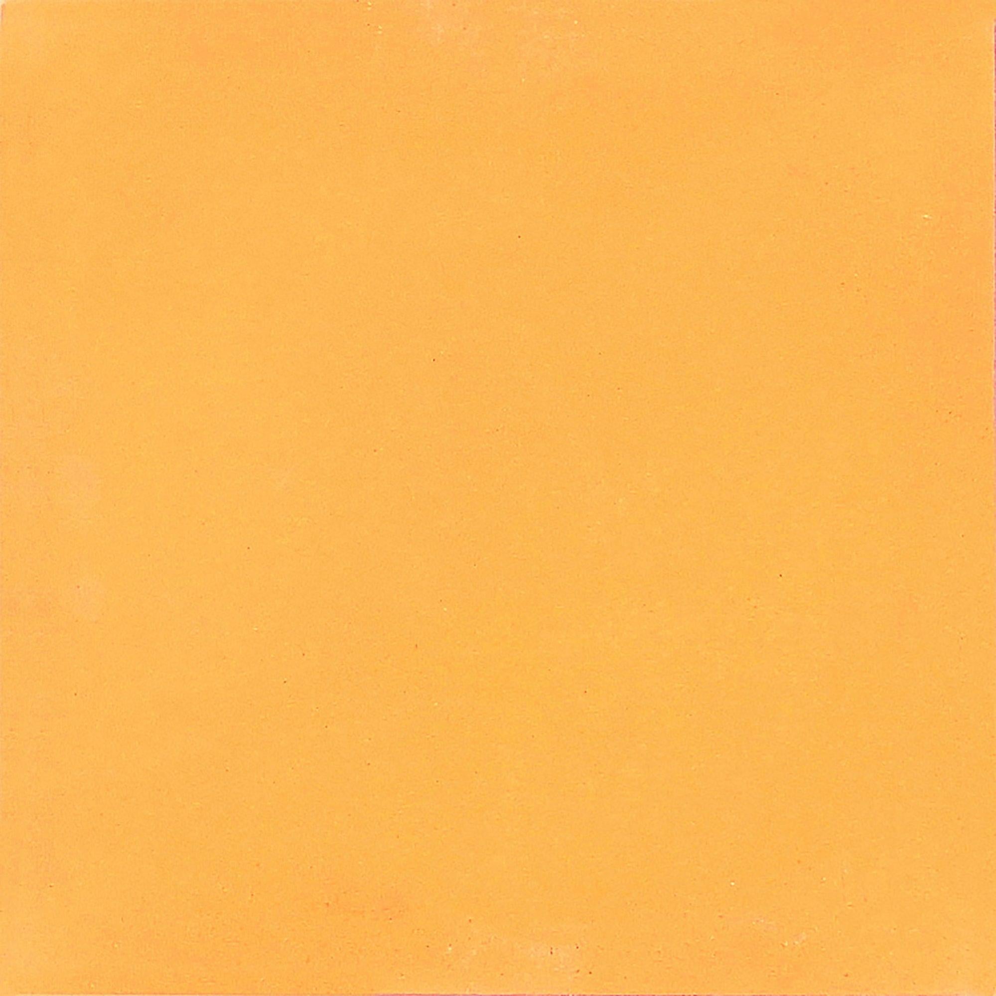 Carreau de ciment mur uni orange mat l.20 x L.20 cm, Rotterdam #8 ...