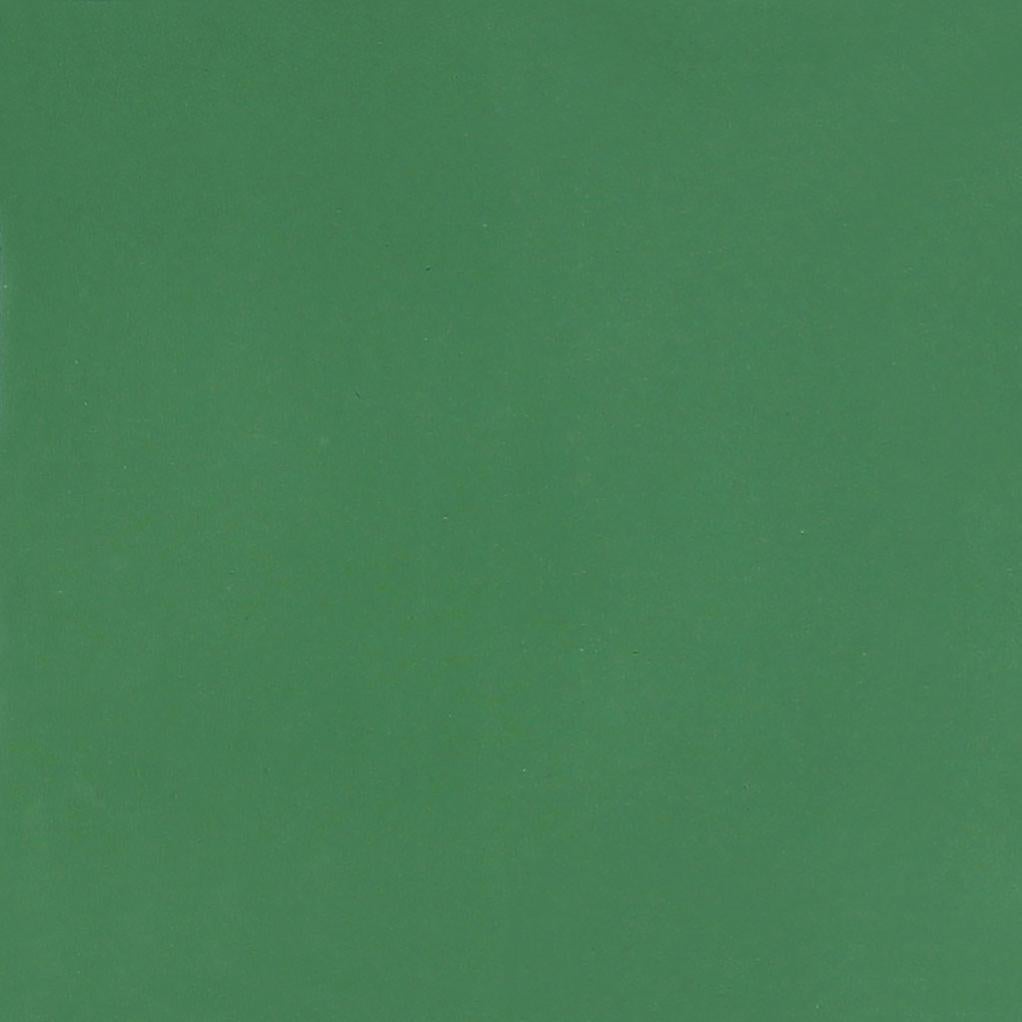 Carreau de ciment mur uni vert mat l.20 x L.20 cm, Rotterdam #9 | Leroy ...