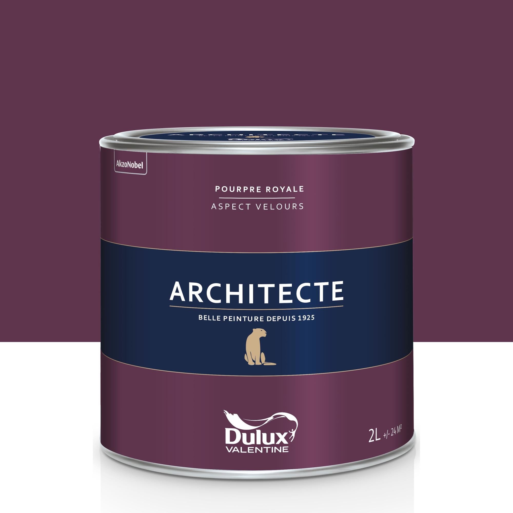Peinture pourpre royale velours DULUX VALENTINE Architecte 2 l | Leroy ...