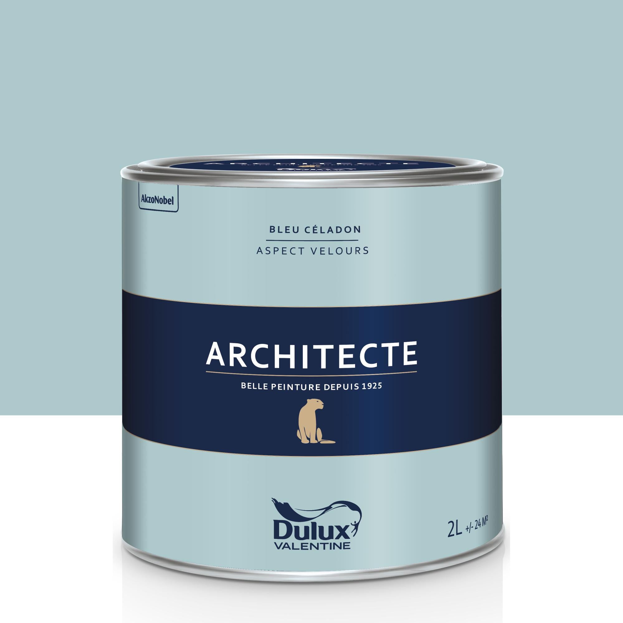 Dulux Valentine Architecte