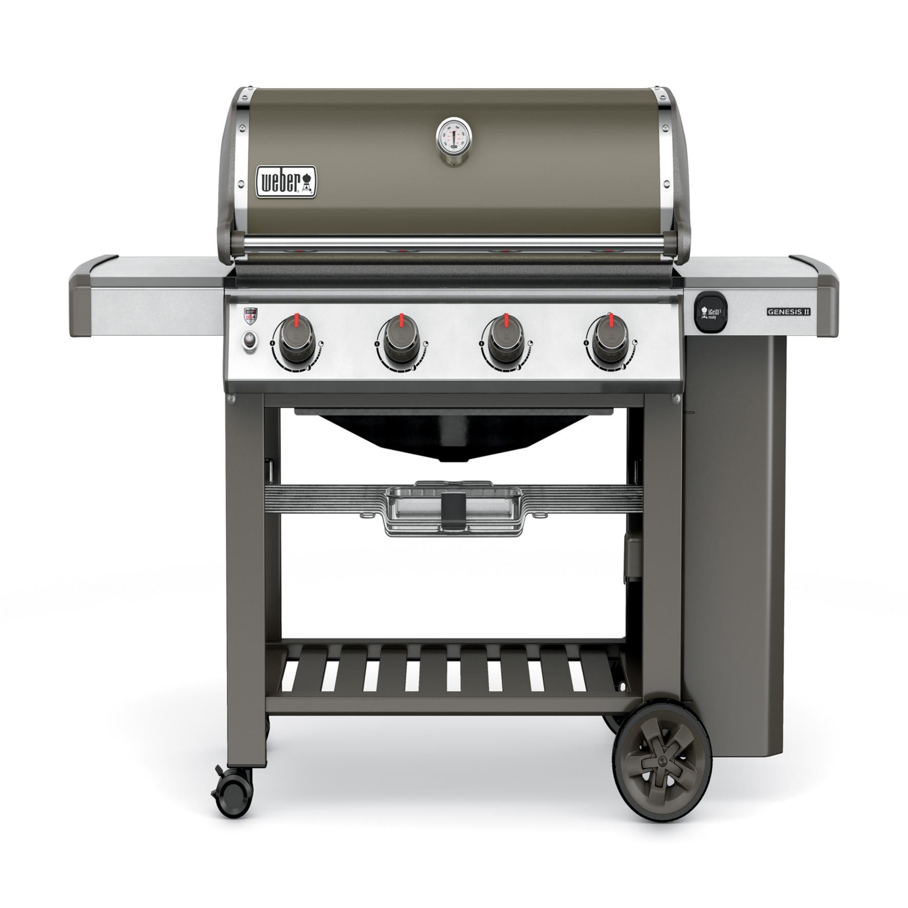 Barbecue Leroy Merlin Gaz
