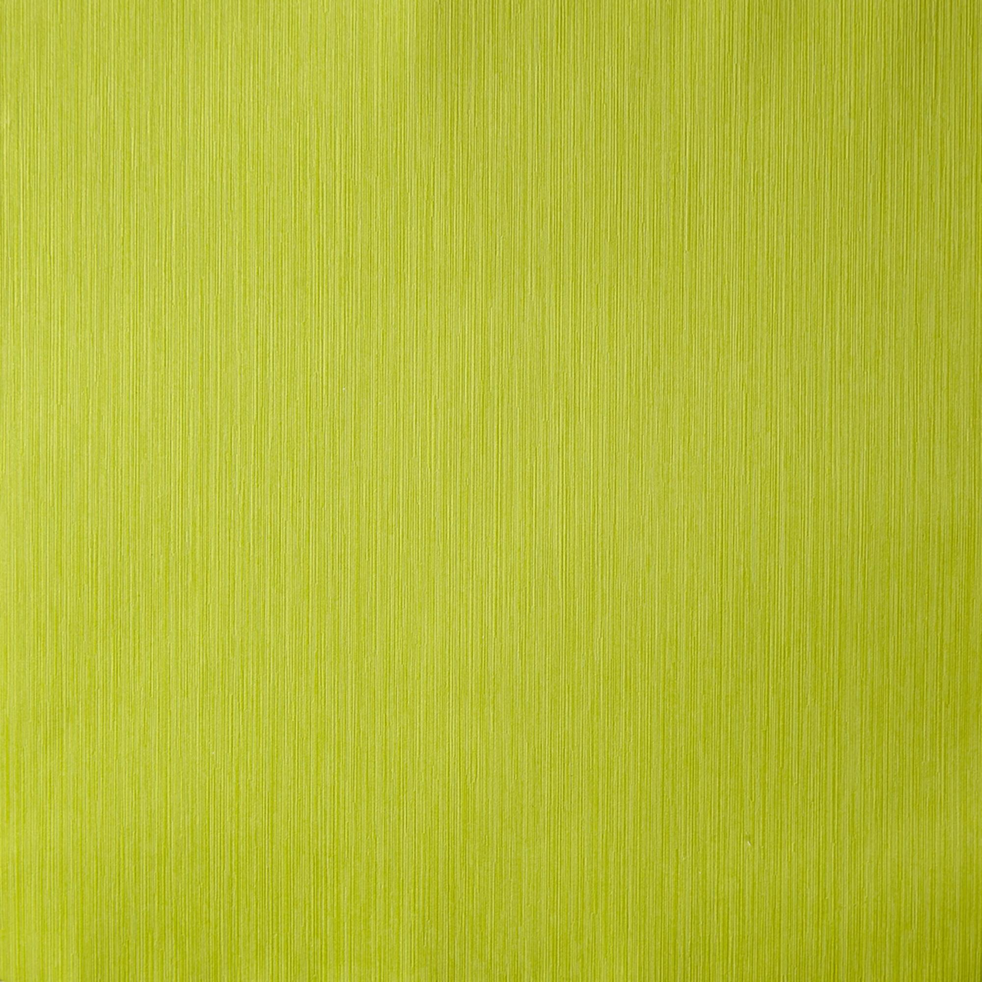 Papier peint vinyle COLOR BOX Uni vert mousse | Leroy Merlin
