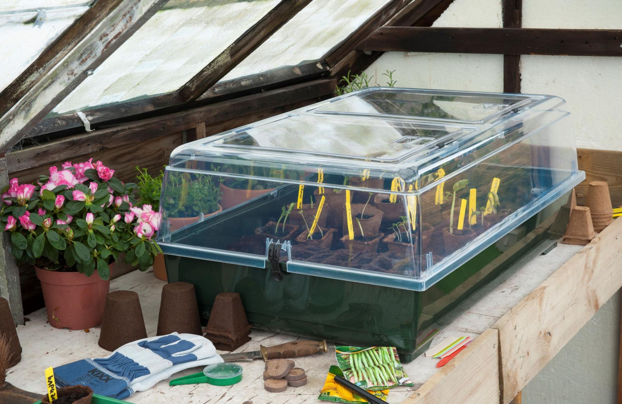 Mini-serre NATURE Mini serre de culture l.83 x P.52 x H.32.5 cm | Leroy ...