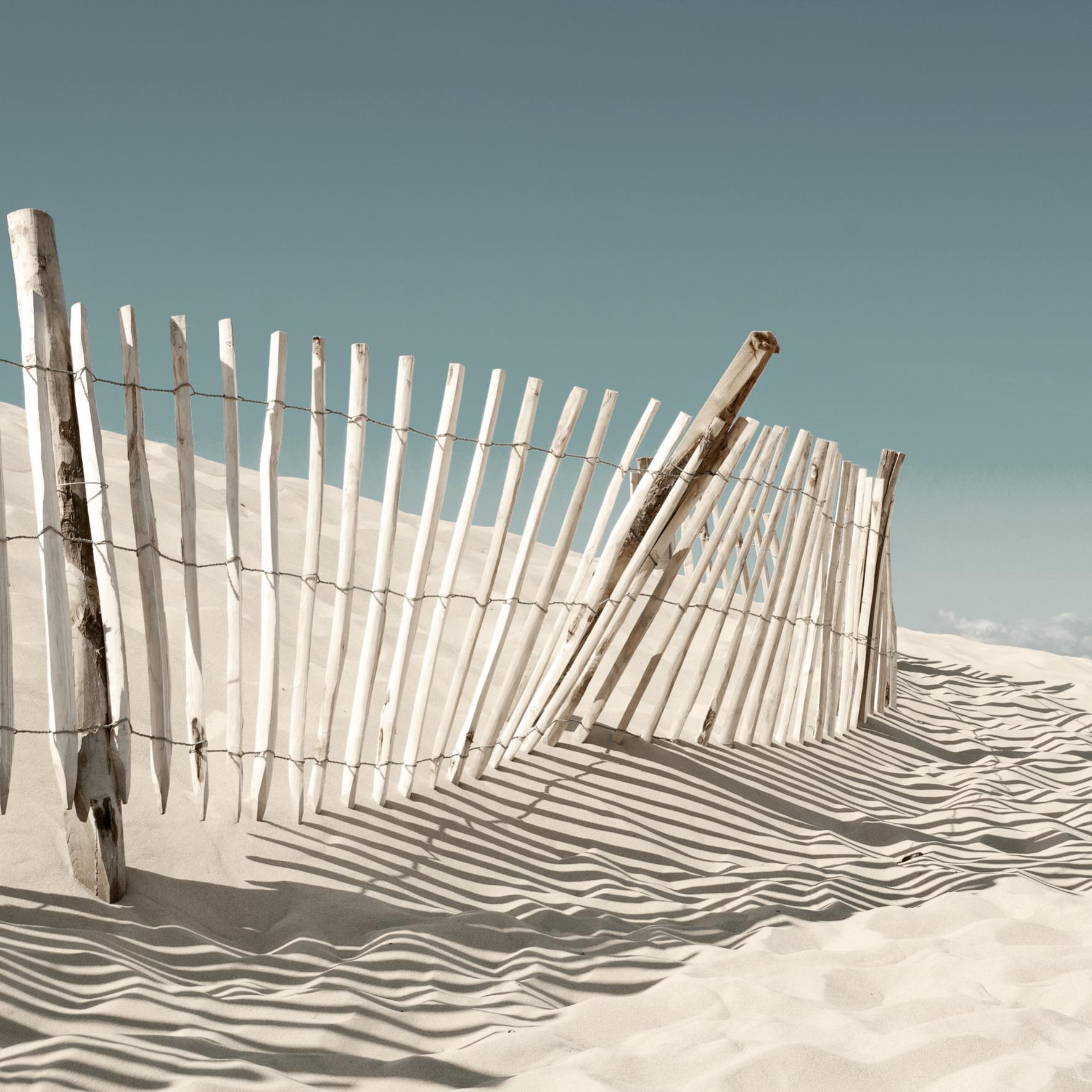 Toile imprimée Plage barrière, multicolore ARTIS l.65 x H.65 cm | Leroy ...