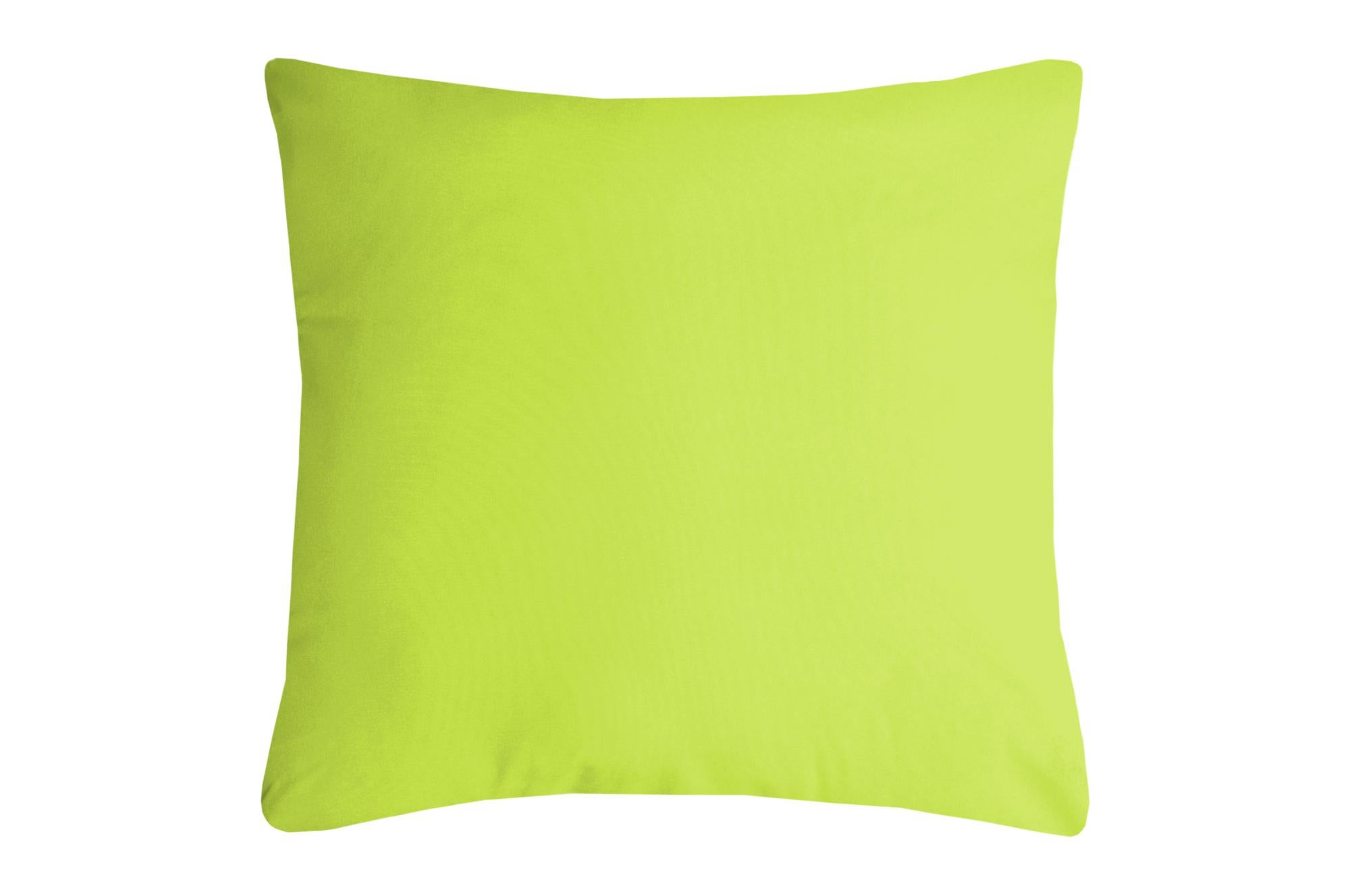 Coussin Nelson, vert tilleul l.60 x H.60 cm | Leroy Merlin