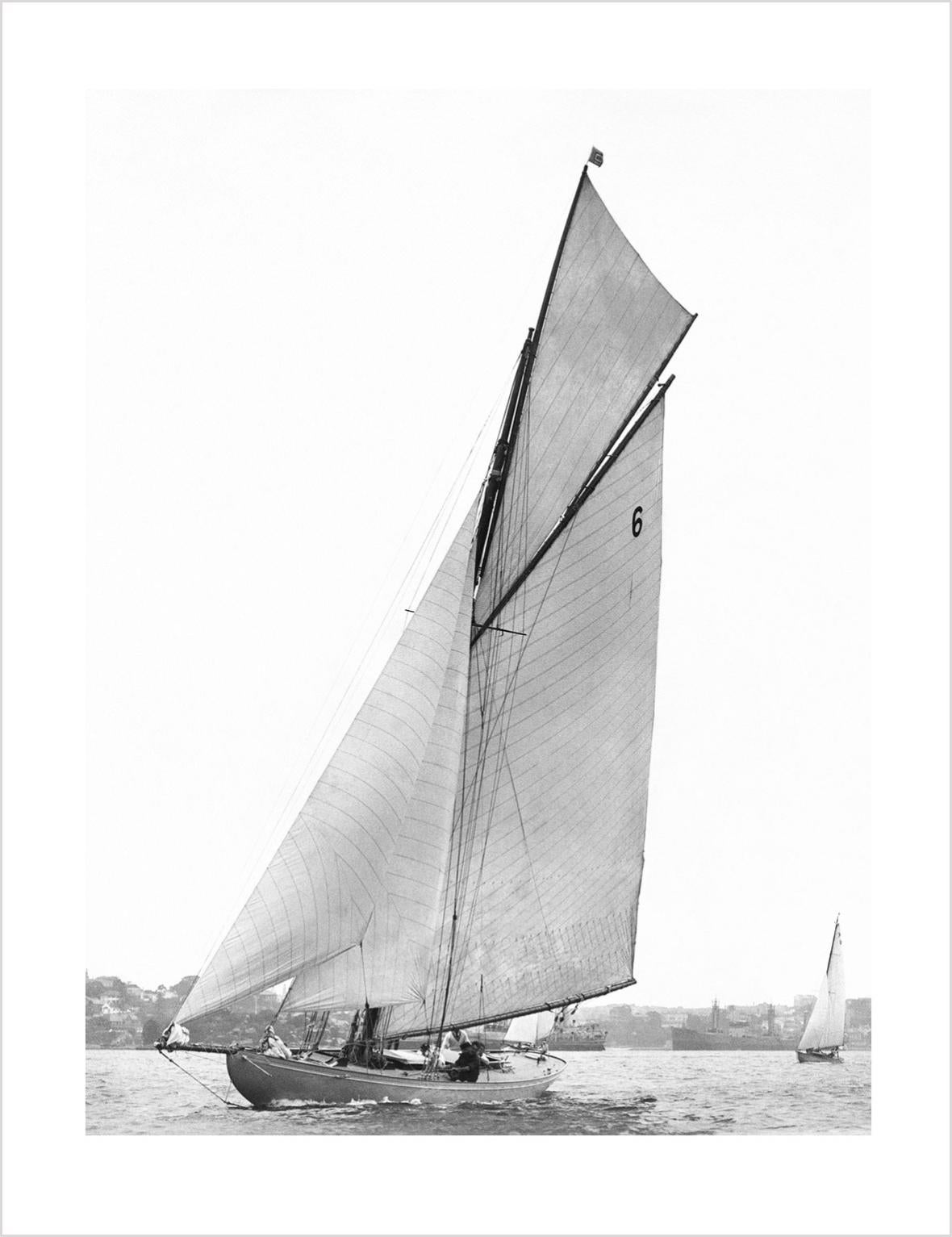 Photo Sailing Sydney Harbour, noir & blanc l.30 x H.40 cm | Leroy Merlin