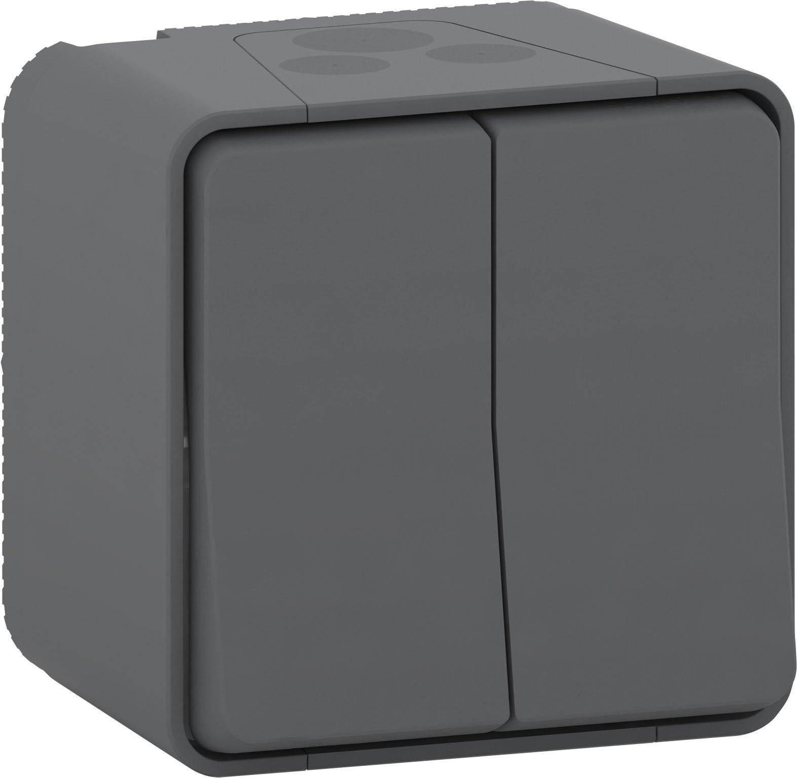 Double interrupteur saillie Mureva Styl SCHNEIDER ELECTRIC anthracite ...