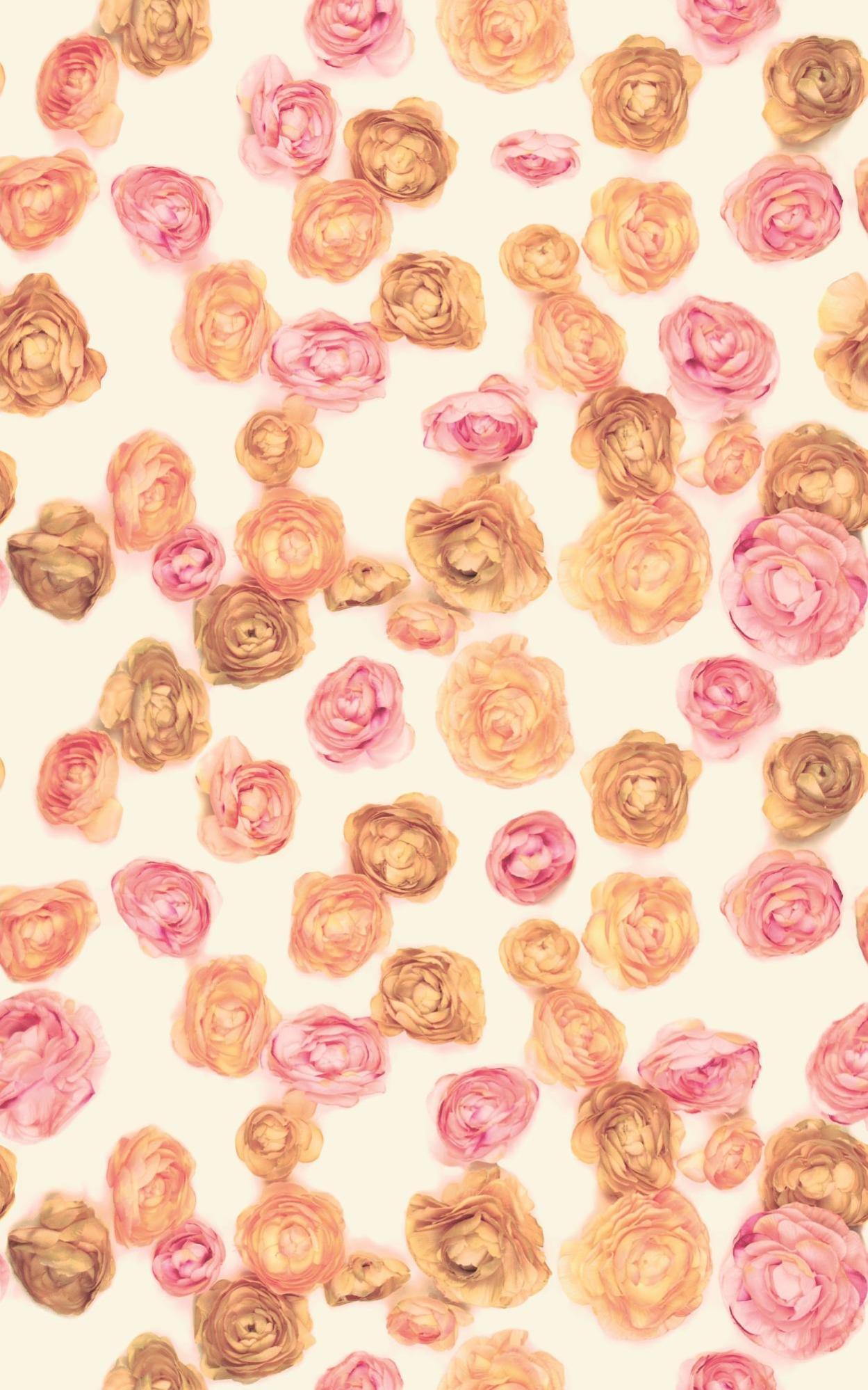 Adhésif décoratif D-C-FIX Rosedale, rose orangé l.0.45 x L.15 m | Leroy ...