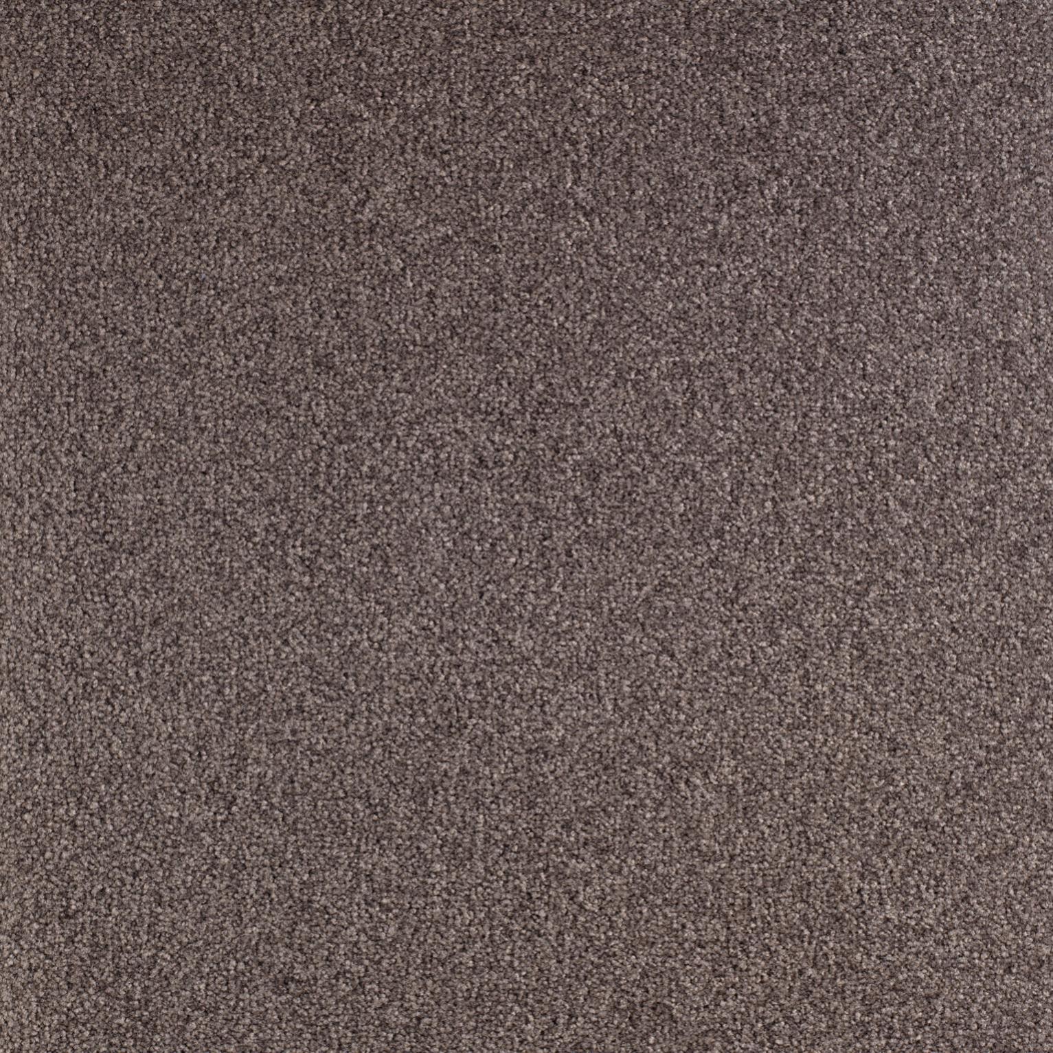 Moquette shaggy uni marron, Scenario 770 taupe, rouleau l.4 m | Leroy ...