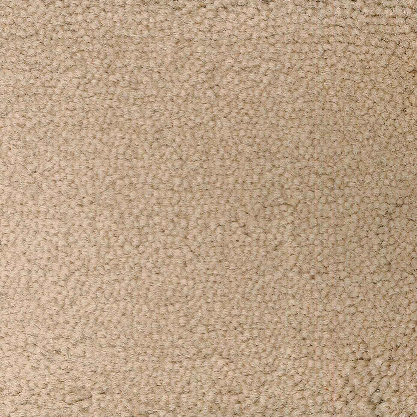 Moquette velours épais uni beige, Dolcevita sb crema 9805, rouleau l.2 ...