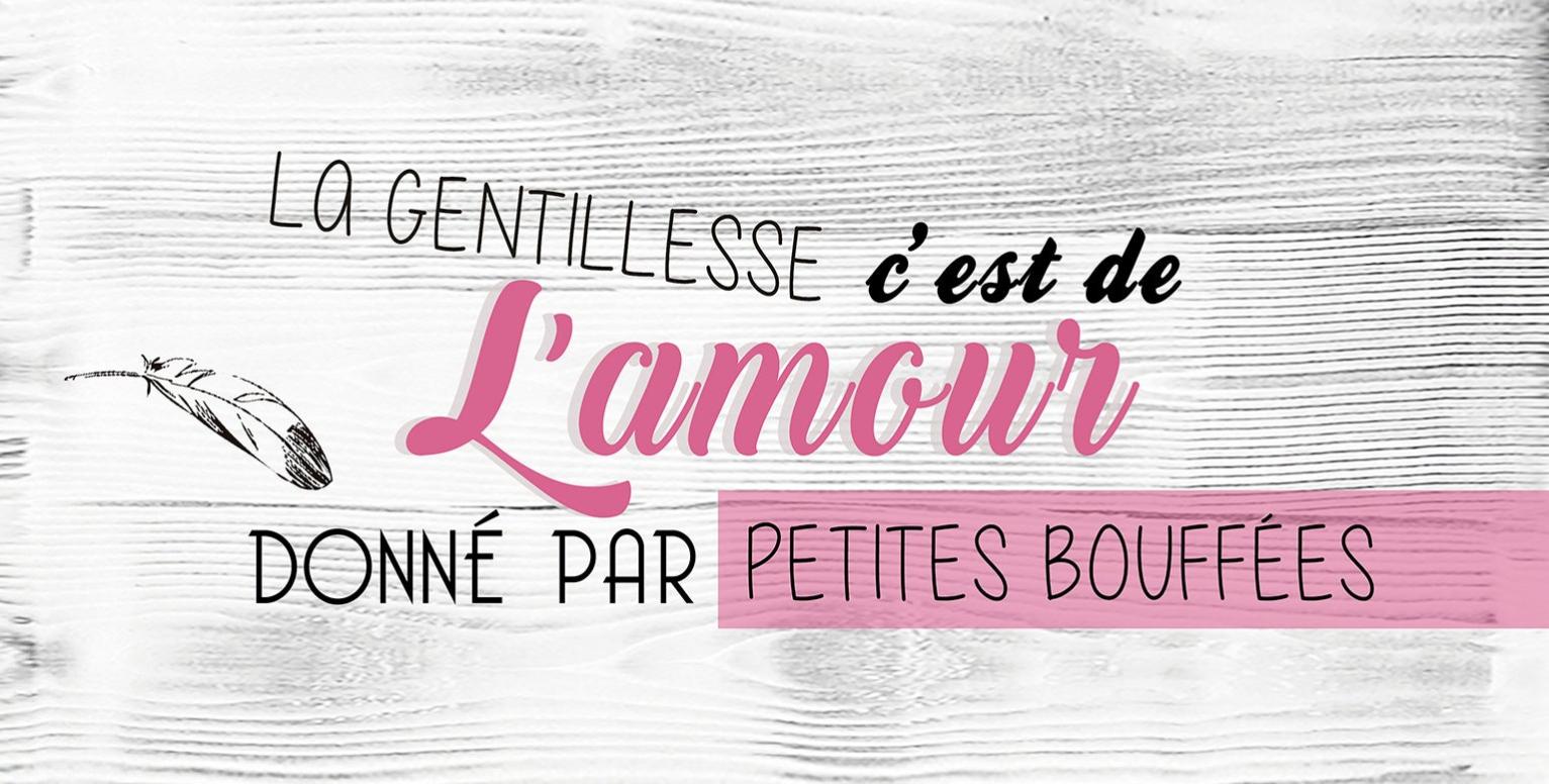 Plaque décorative La gentillesse c'est ..., multicolore l.20 x H.40 cm ...