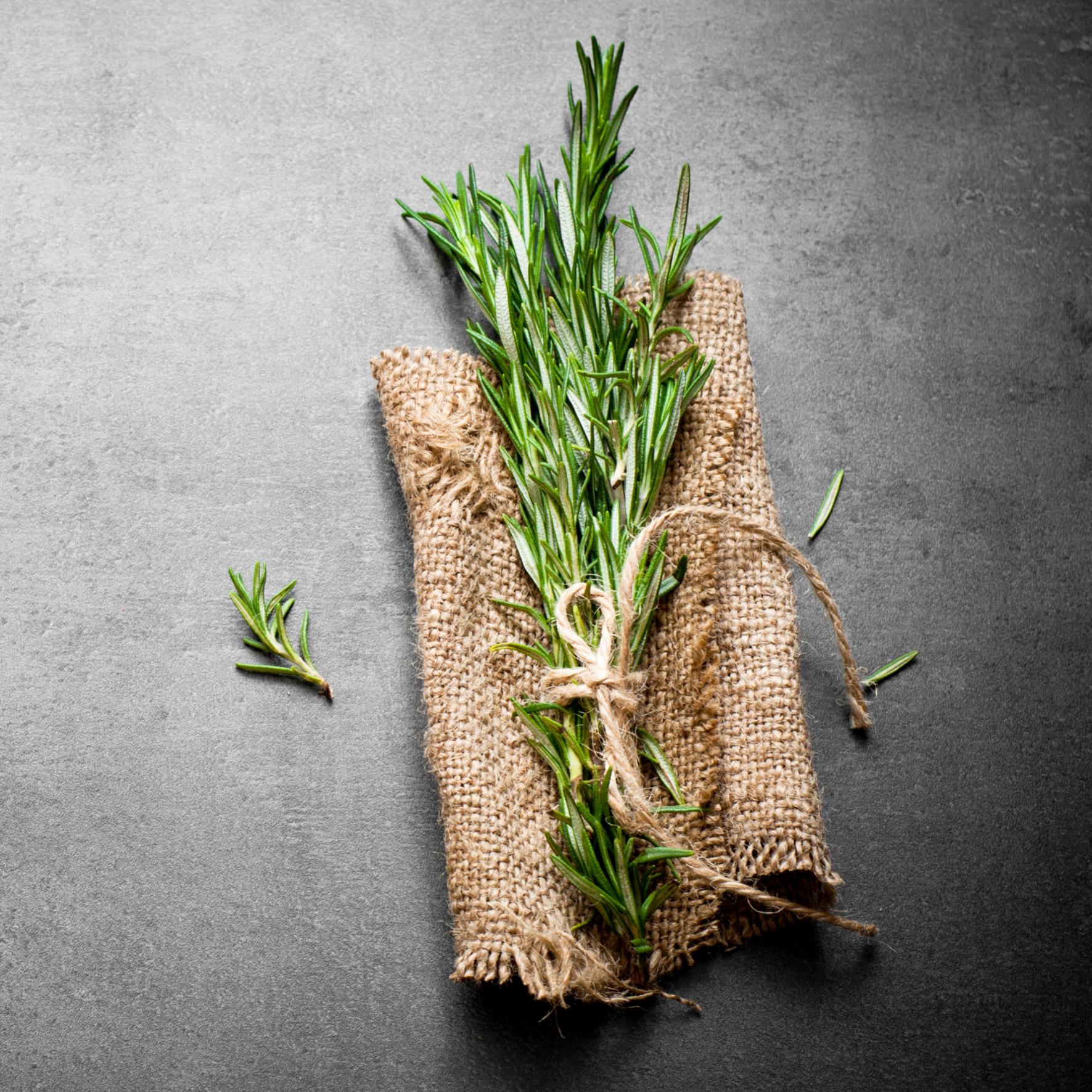 Verre imprimé Romarin, vert ARTIS l.30 x H.30 cm | Leroy Merlin