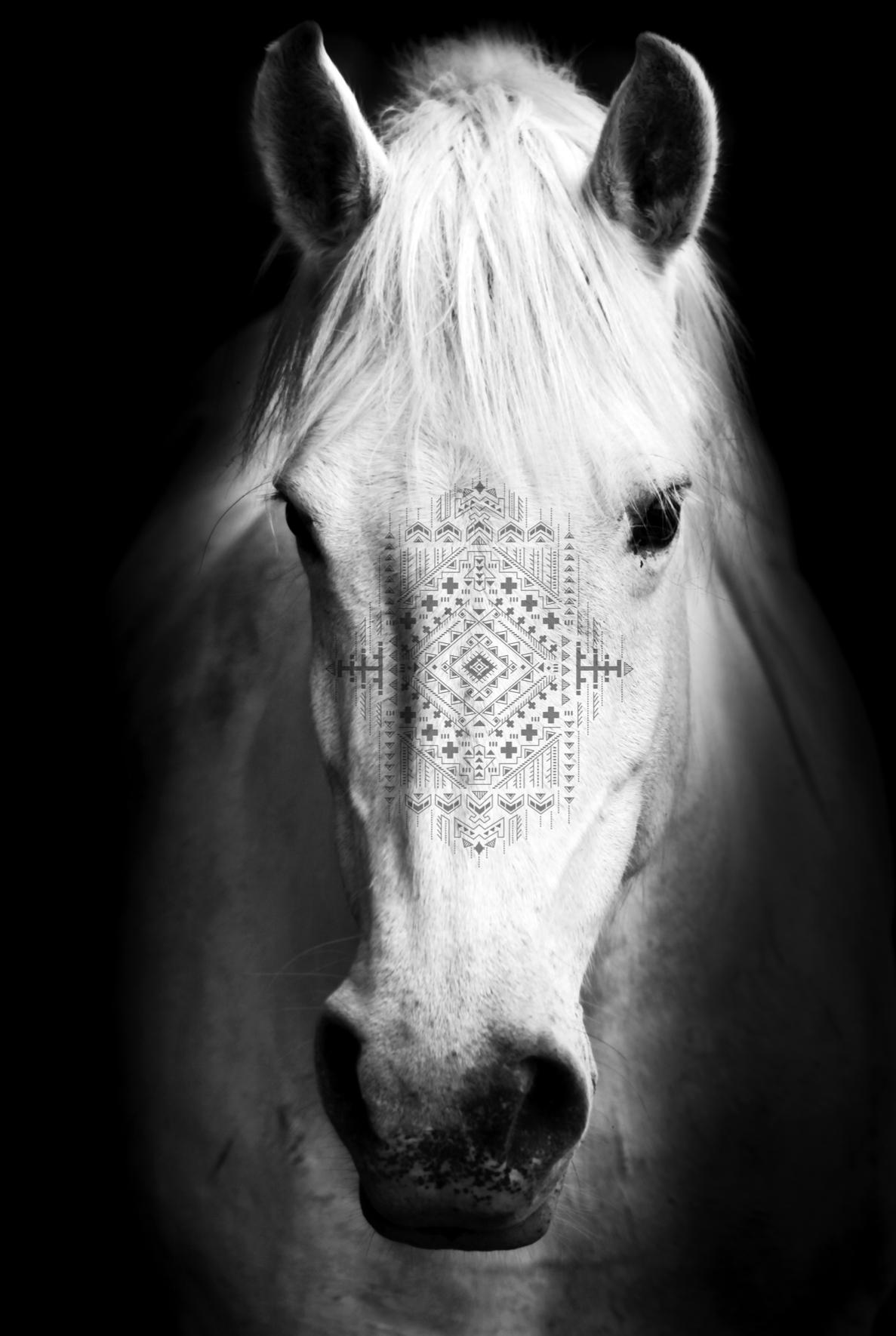 Verre imprimé Cheval blanc ARTIS l.30 x H.45 cm | Leroy Merlin