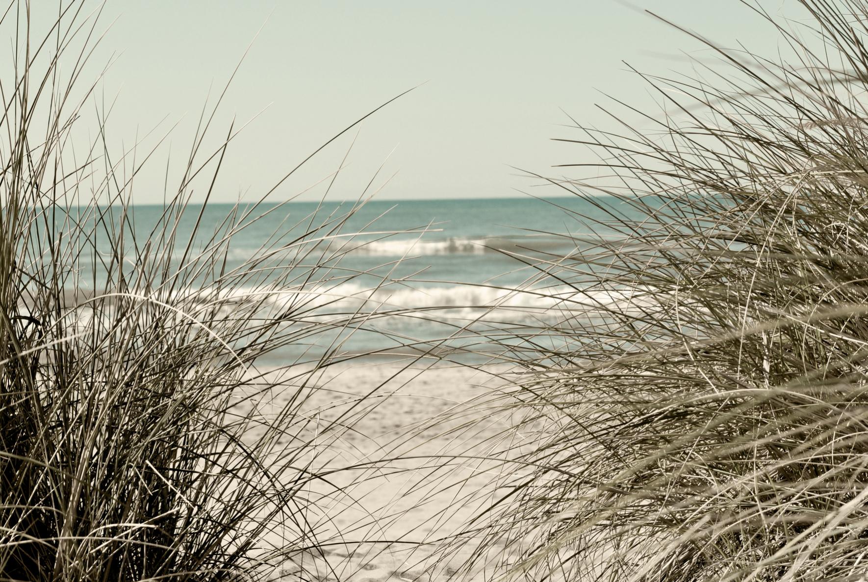 Toile imprimée Beach View, multicolore ARTIS l.65 x H.45 cm | Leroy Merlin