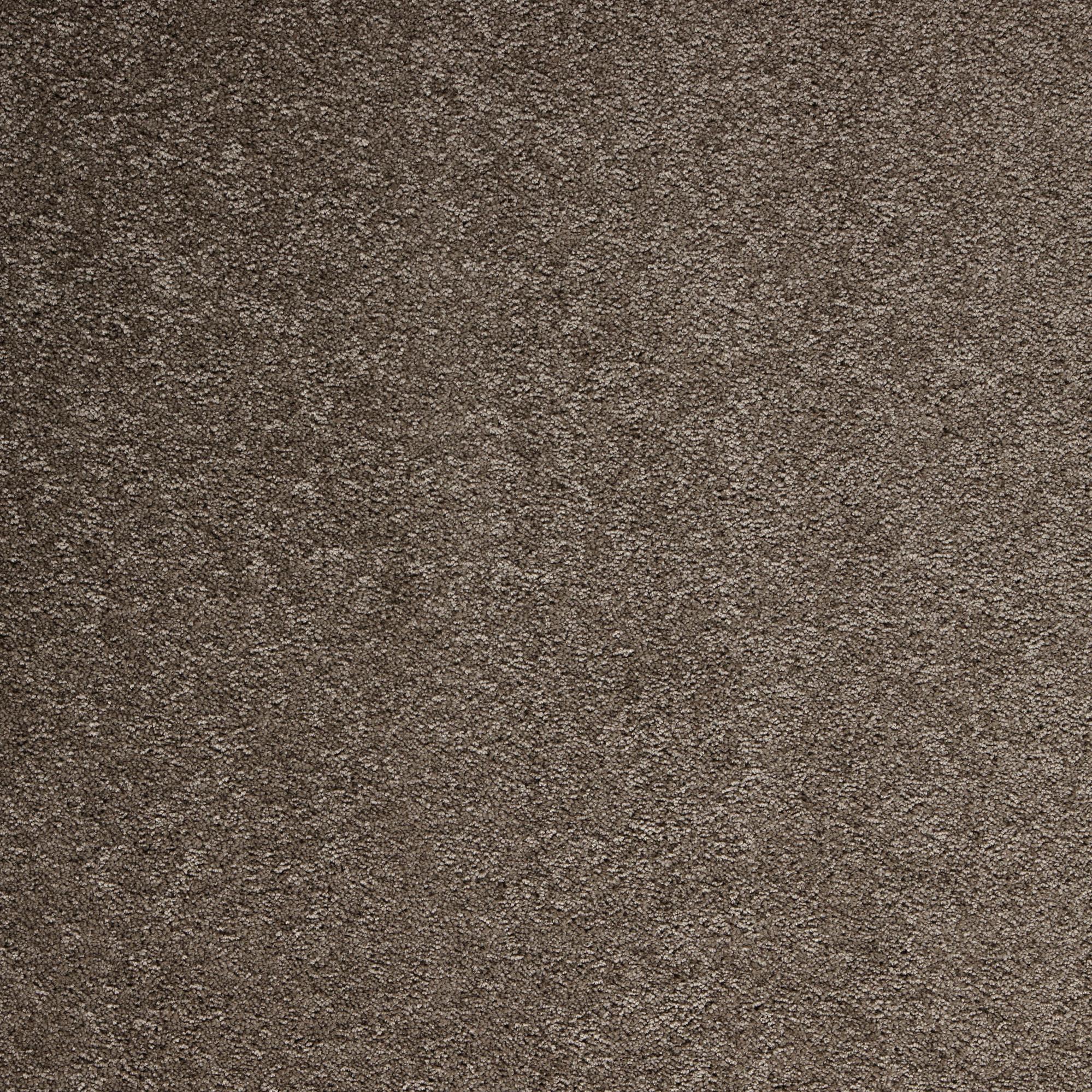 Echantillon moquette shaggy uni taupe Mini euphoria | Leroy Merlin