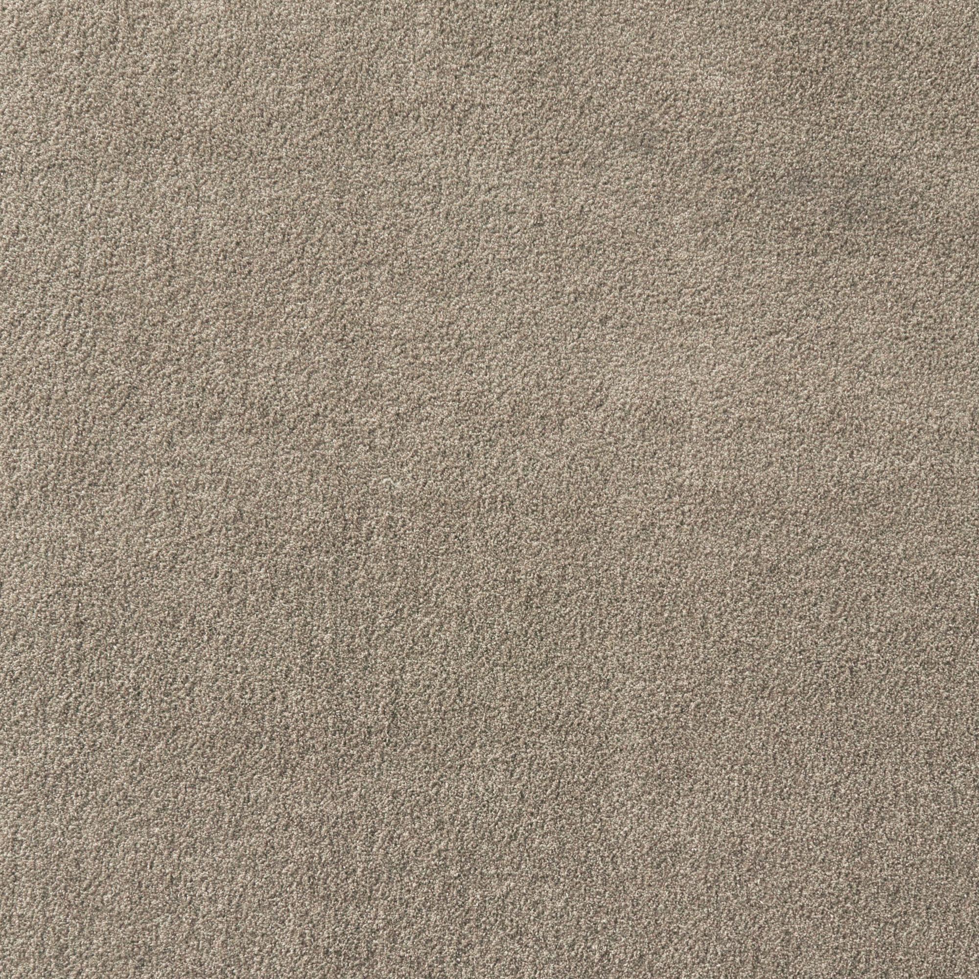 Echantillon moquette velours uni beige Cashmere velvet | Leroy Merlin