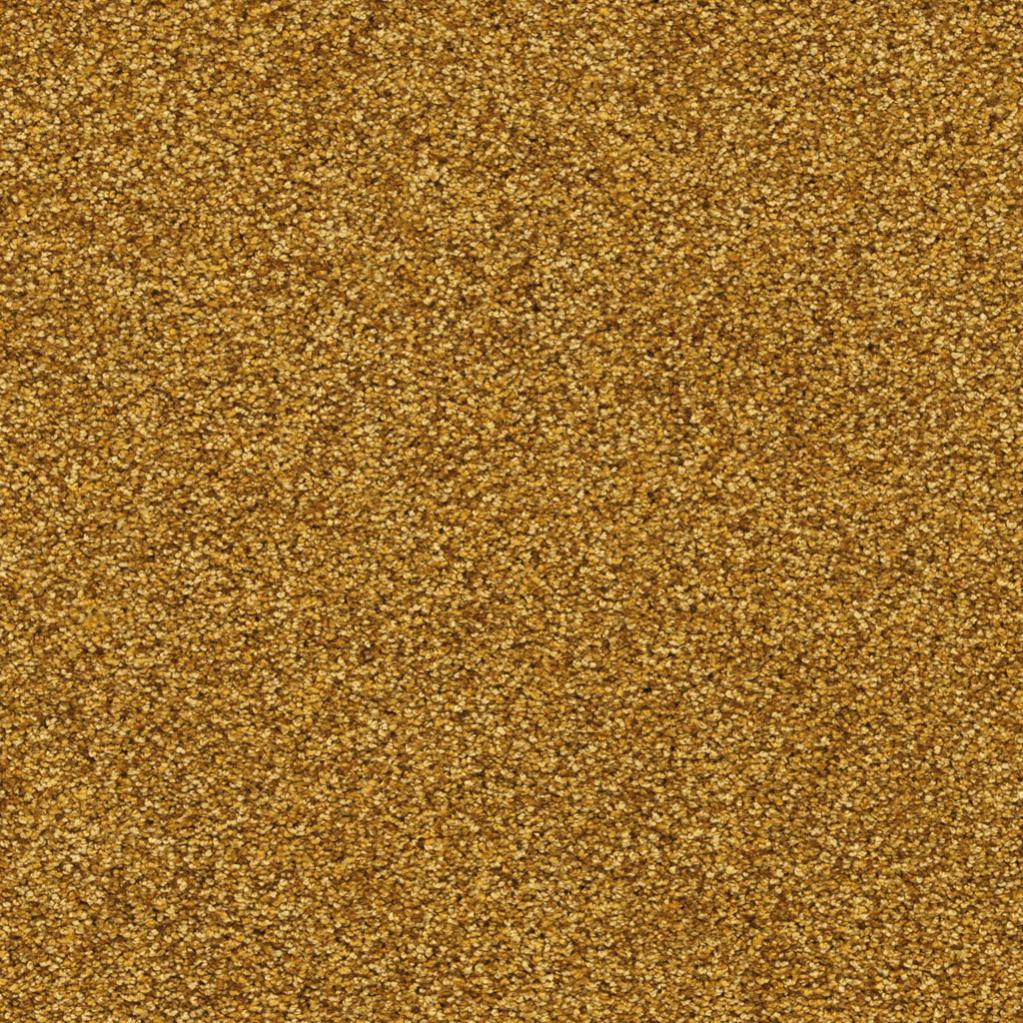 Echantillon moquette velours uni dorée Feelings | Leroy Merlin