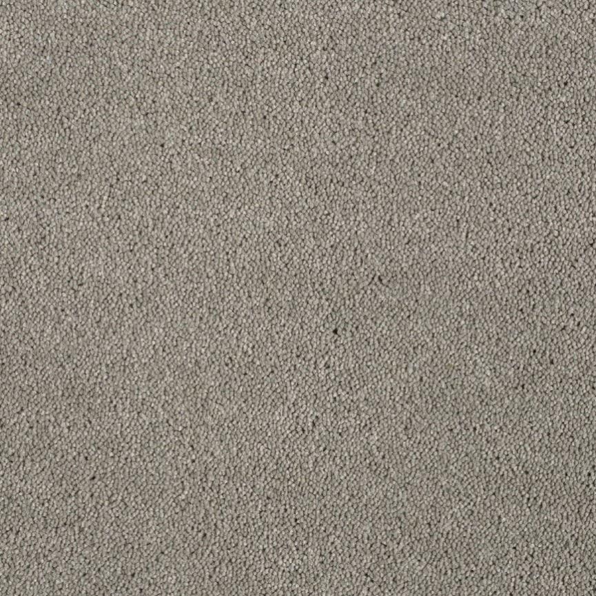 Echantillon moquette tufté uni beige Dream | Leroy Merlin