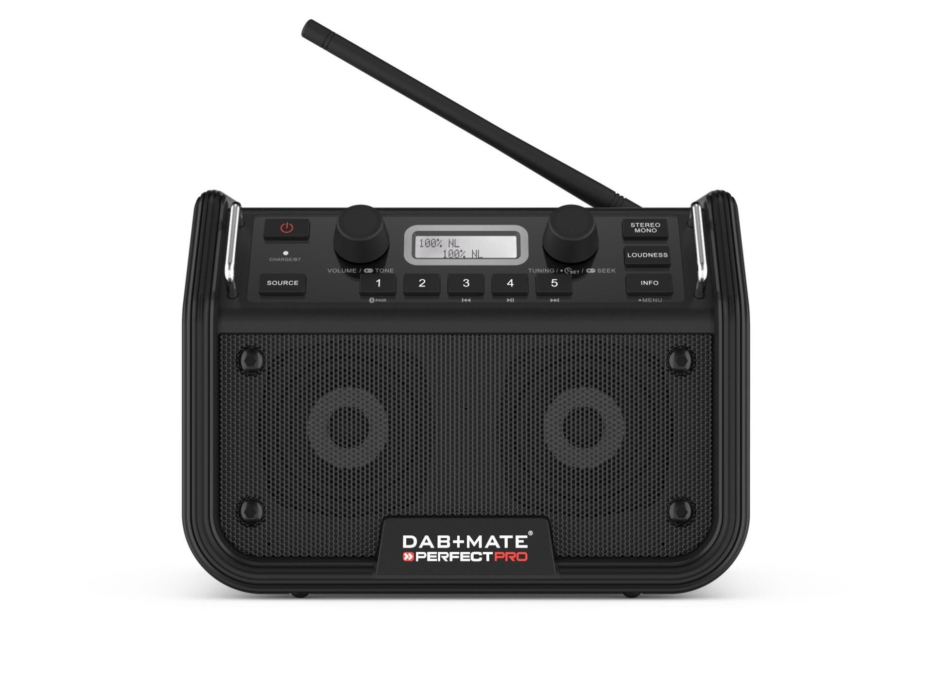 Radio de chantier Dabmate PERFECT PRO | Leroy Merlin