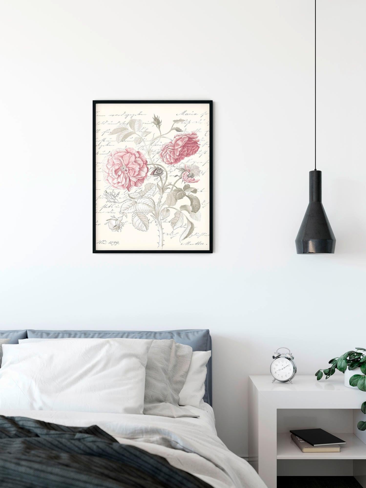Affiche Roses, rose KOMAR l.50 x H.70 cm | Leroy Merlin